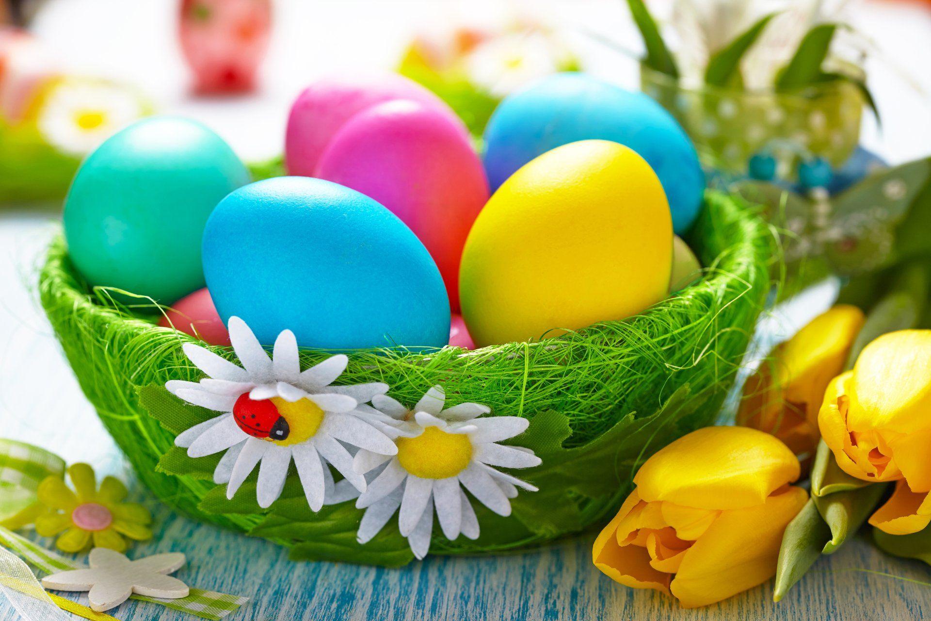 Pastel Easter 4K Wallpapers - Top Free Pastel Easter 4K Backgrounds ...