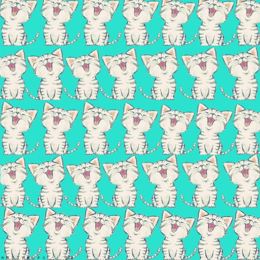 Cute Cat Pattern Wallpapers - Top Free Cute Cat Pattern Backgrounds ...