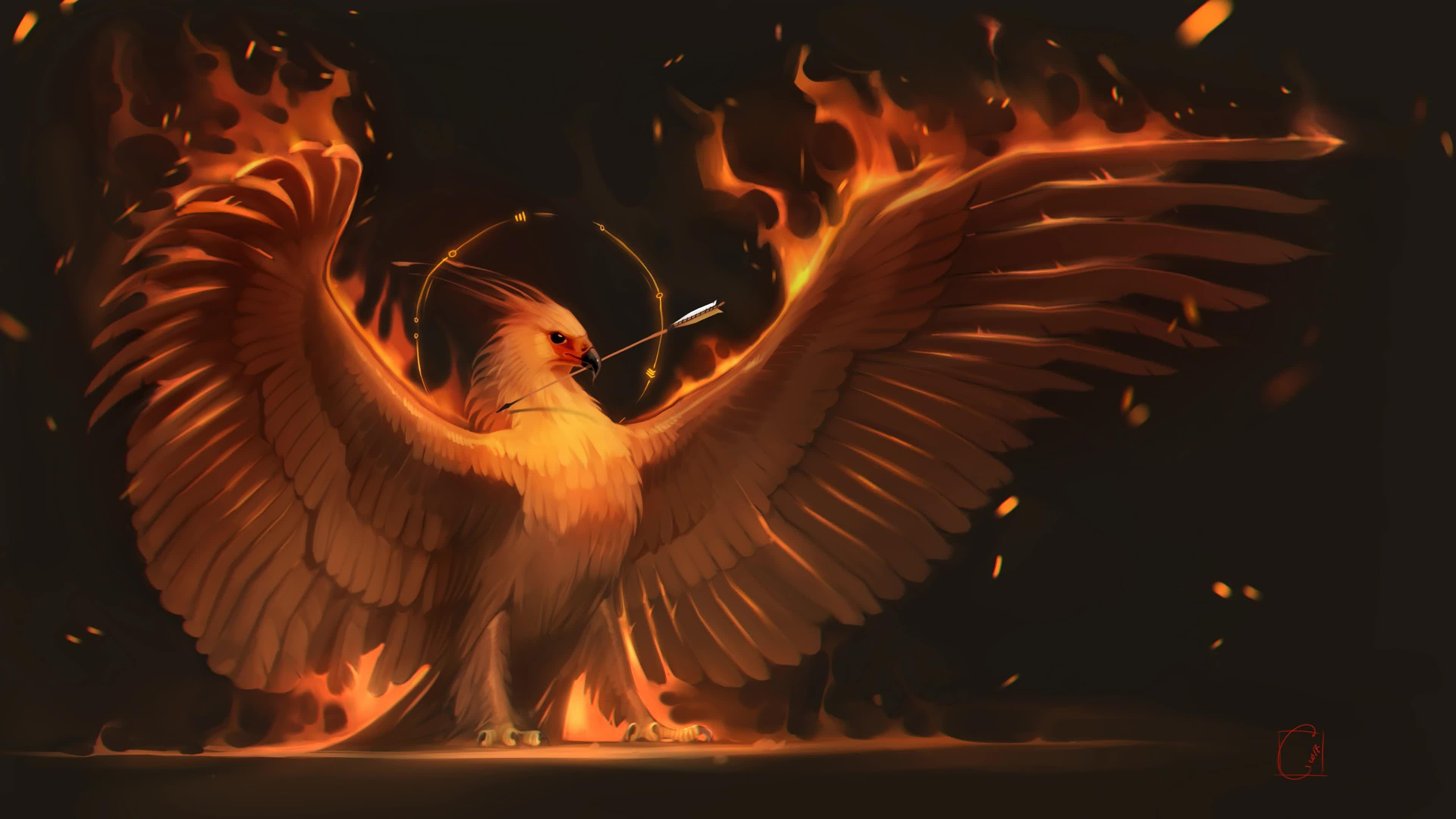 Anime Phoenix 4K Wallpapers - Top Free Anime Phoenix 4K Backgrounds ...