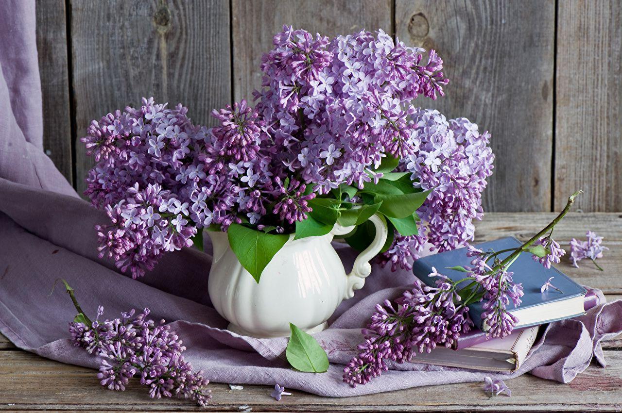 Lilac Desktop Wallpapers - Top Free Lilac Desktop Backgrounds ...