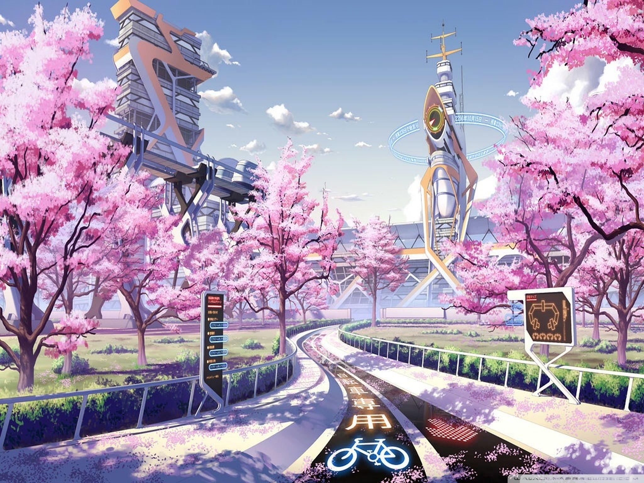 Cute Cherry Blossoms Anime Scenery Wallpapers - Top Free Cute Cherry ...