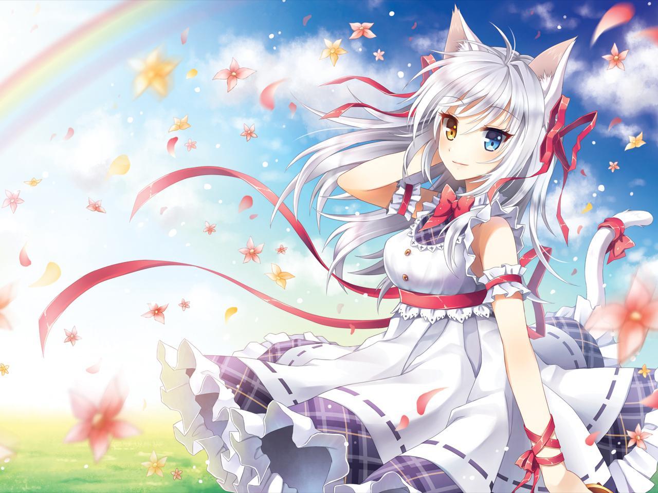 White Cat Anime Wallpapers - Top Free White Cat Anime Backgrounds ...