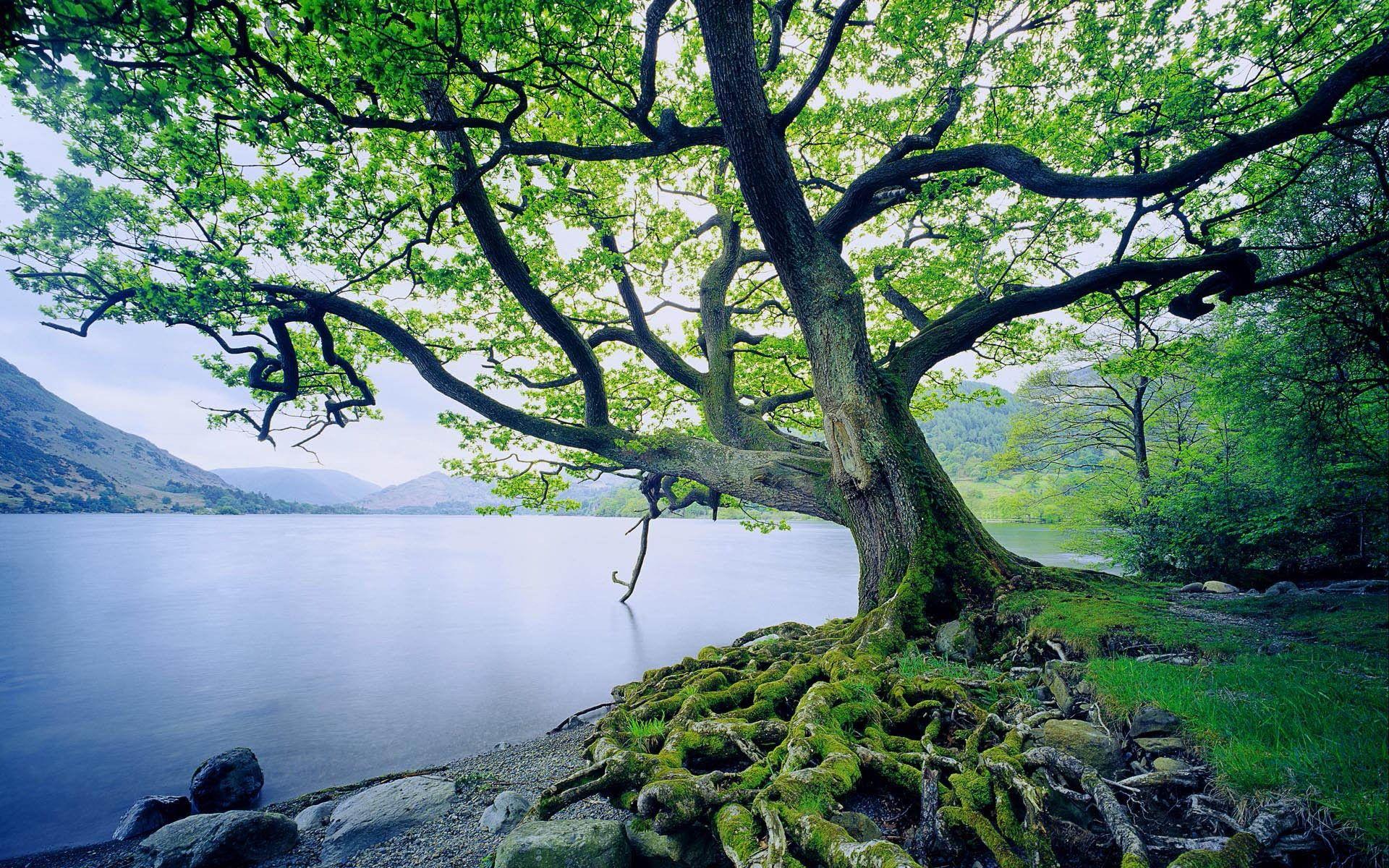 windows-7-nature-wallpapers-top-free-windows-7-nature-backgrounds