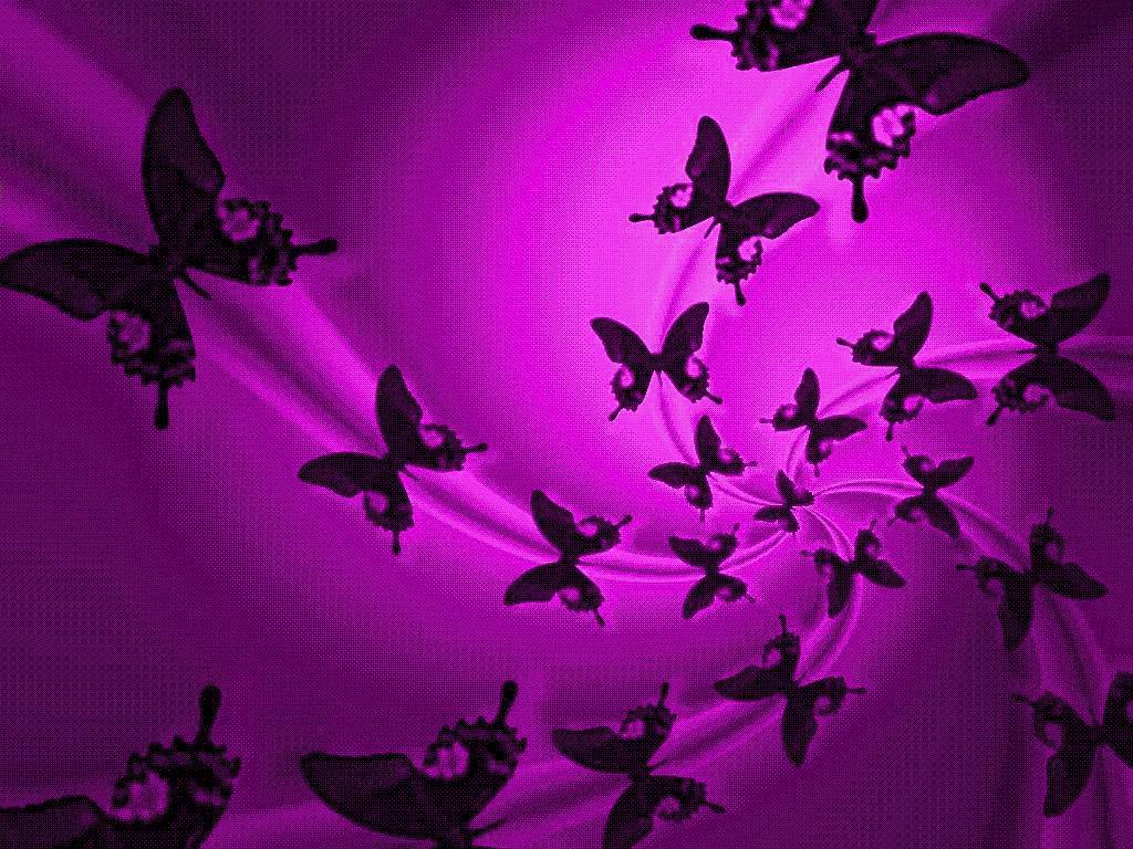 Animated Butterfly HD Wallpapers - Top Free Animated Butterfly HD ...