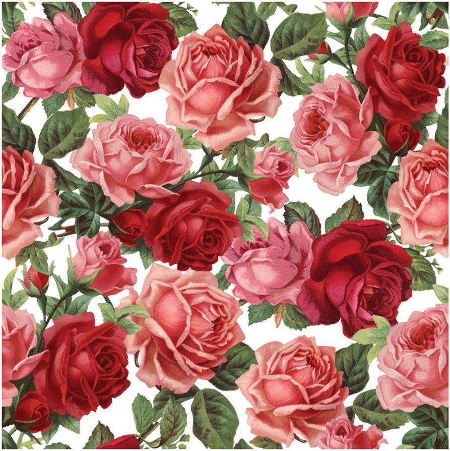 Flower Print Wallpapers - Top Free Flower Print Backgrounds ...