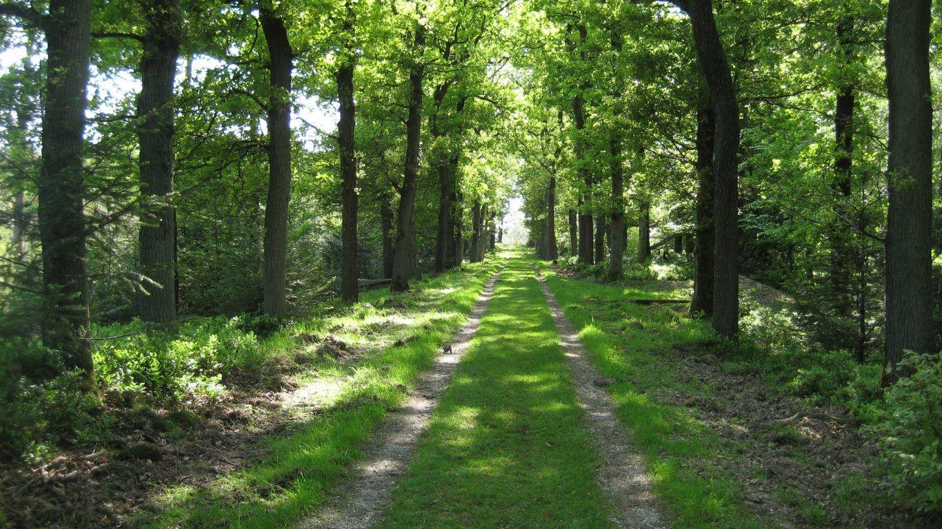 Vermont Summer Wallpapers - Top Free Vermont Summer Backgrounds ...