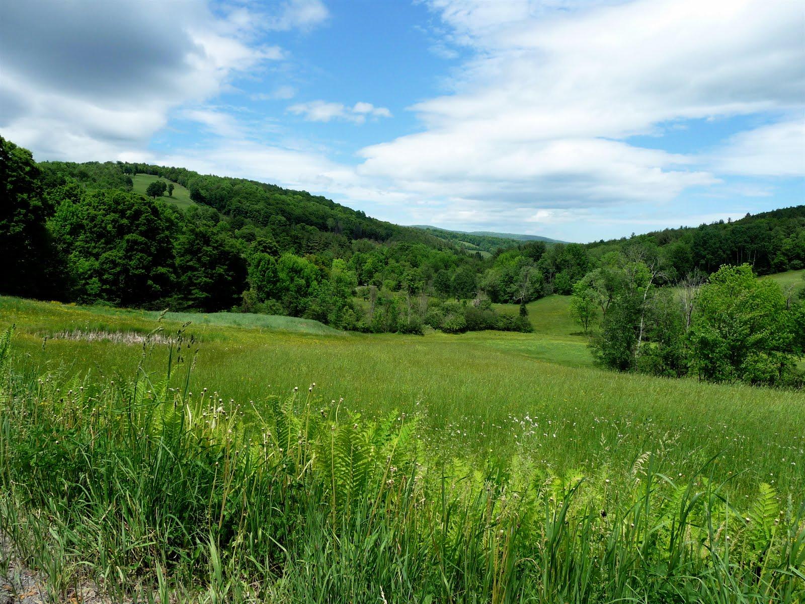 Vermont Summer Wallpapers - Top Free Vermont Summer Backgrounds ...