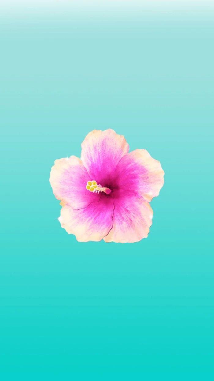 Cute Tropical Flowers Tumblr Wallpapers - Top Free Cute Tropical ...