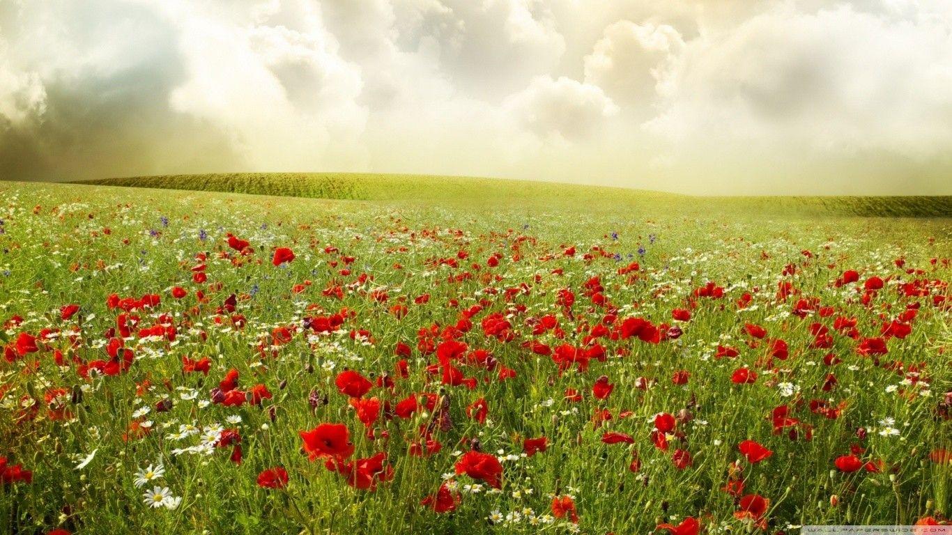 Vermont Summer Wallpapers - Top Free Vermont Summer Backgrounds ...