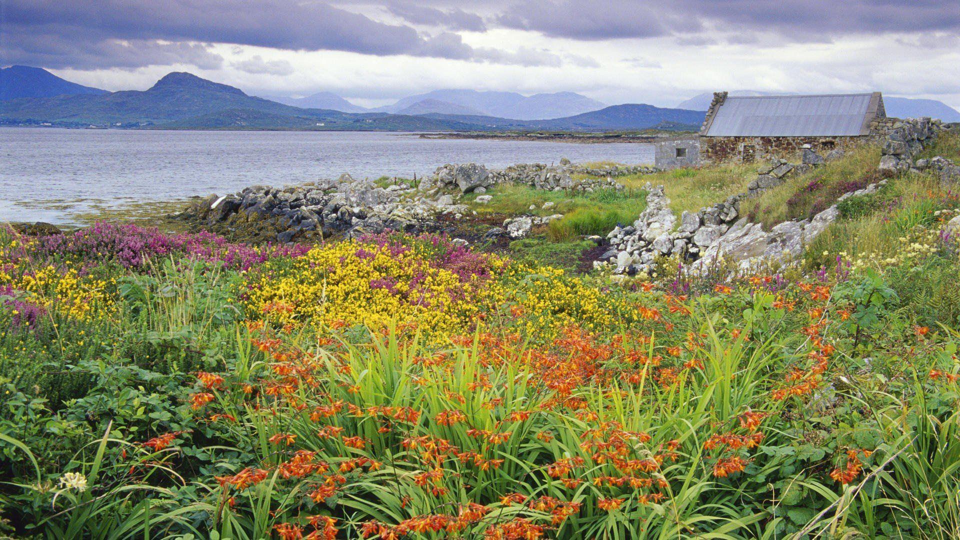 Irish Desktop Wallpapers - Top Free Irish Desktop Backgrounds ...