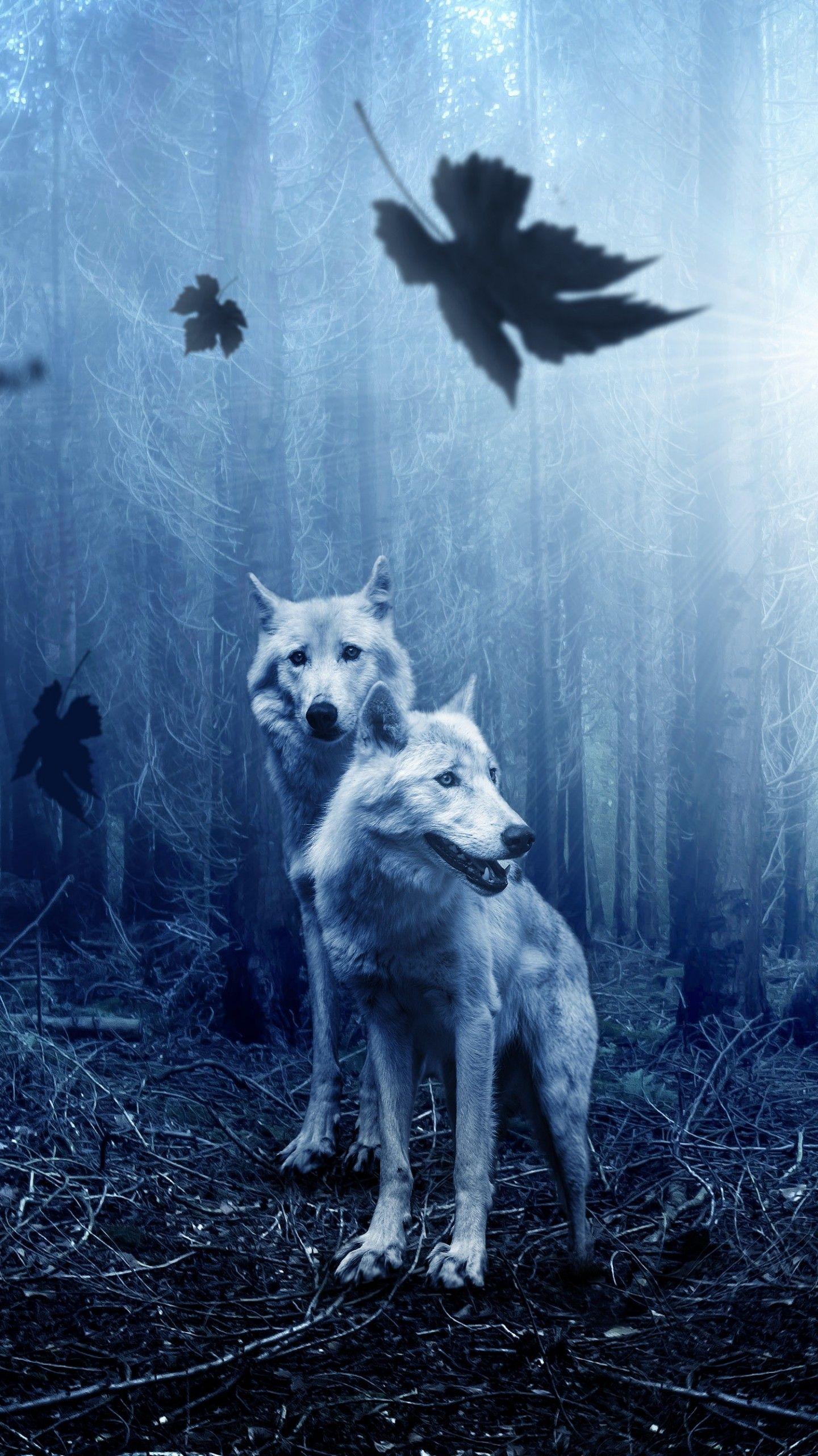 Wolves 4K Wallpapers - Top Free Wolves 4K Backgrounds - WallpaperAccess