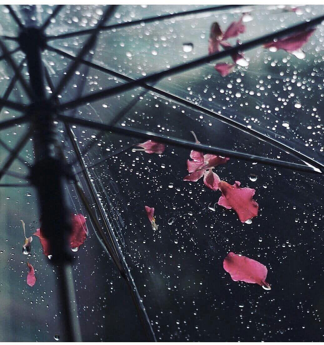 Spring Rain Umbrella 4K Wallpapers - Top Free Spring Rain Umbrella 4K ...