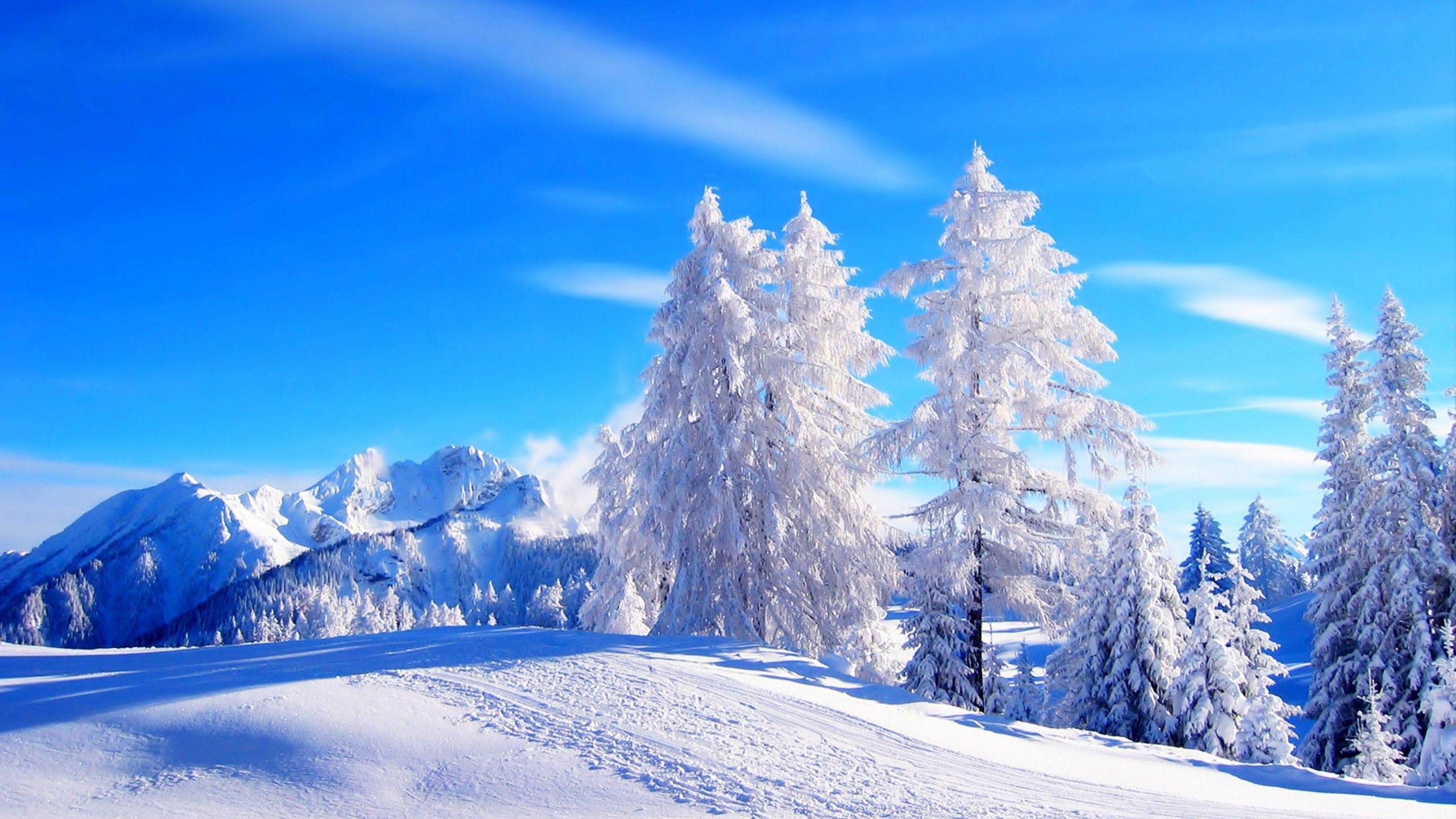 2560X1440 Winter Wallpapers - Top Free 2560X1440 Winter Backgrounds ...