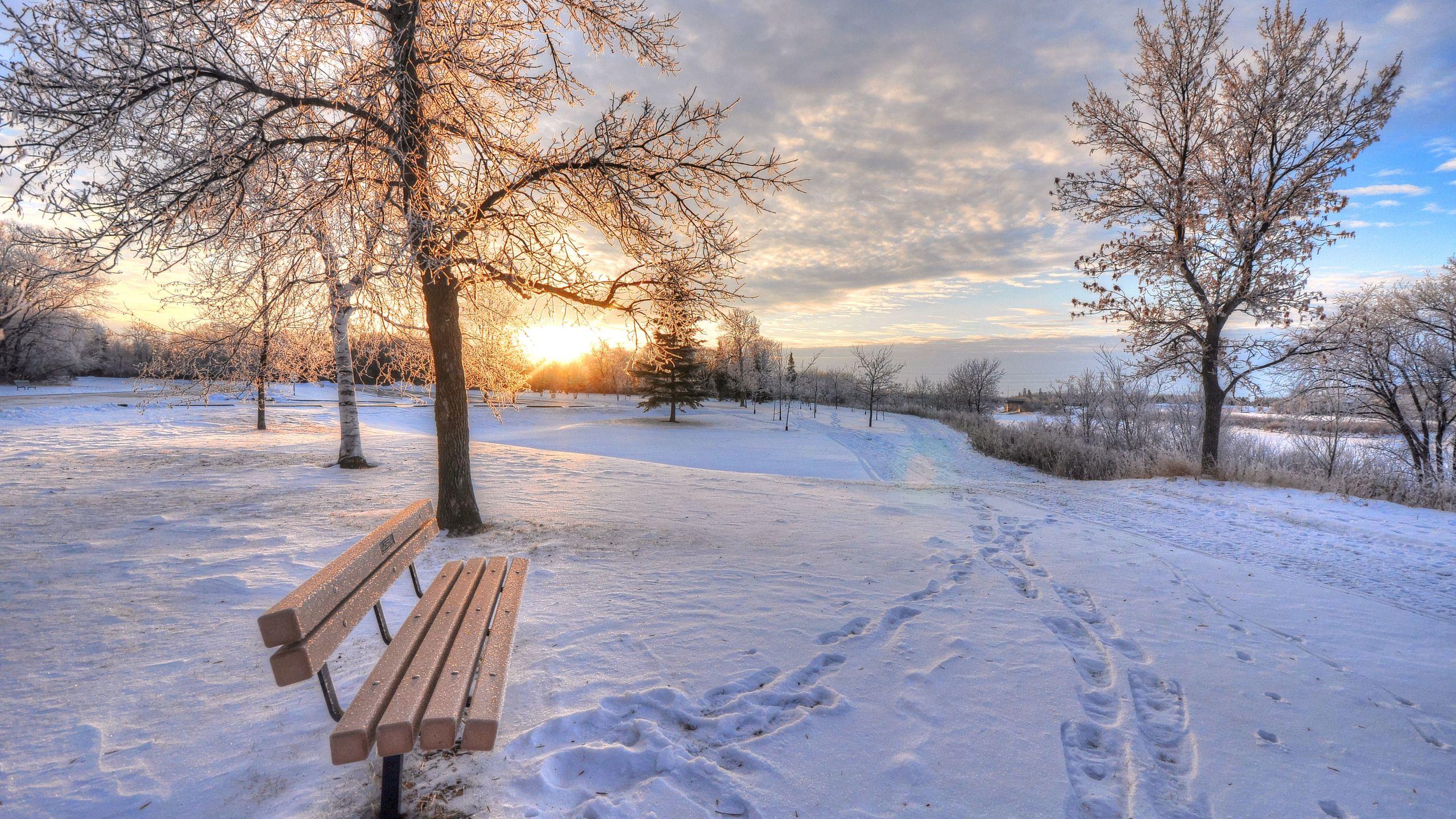 2560X1440 Winter Wallpapers - Top Free 2560X1440 Winter Backgrounds ...