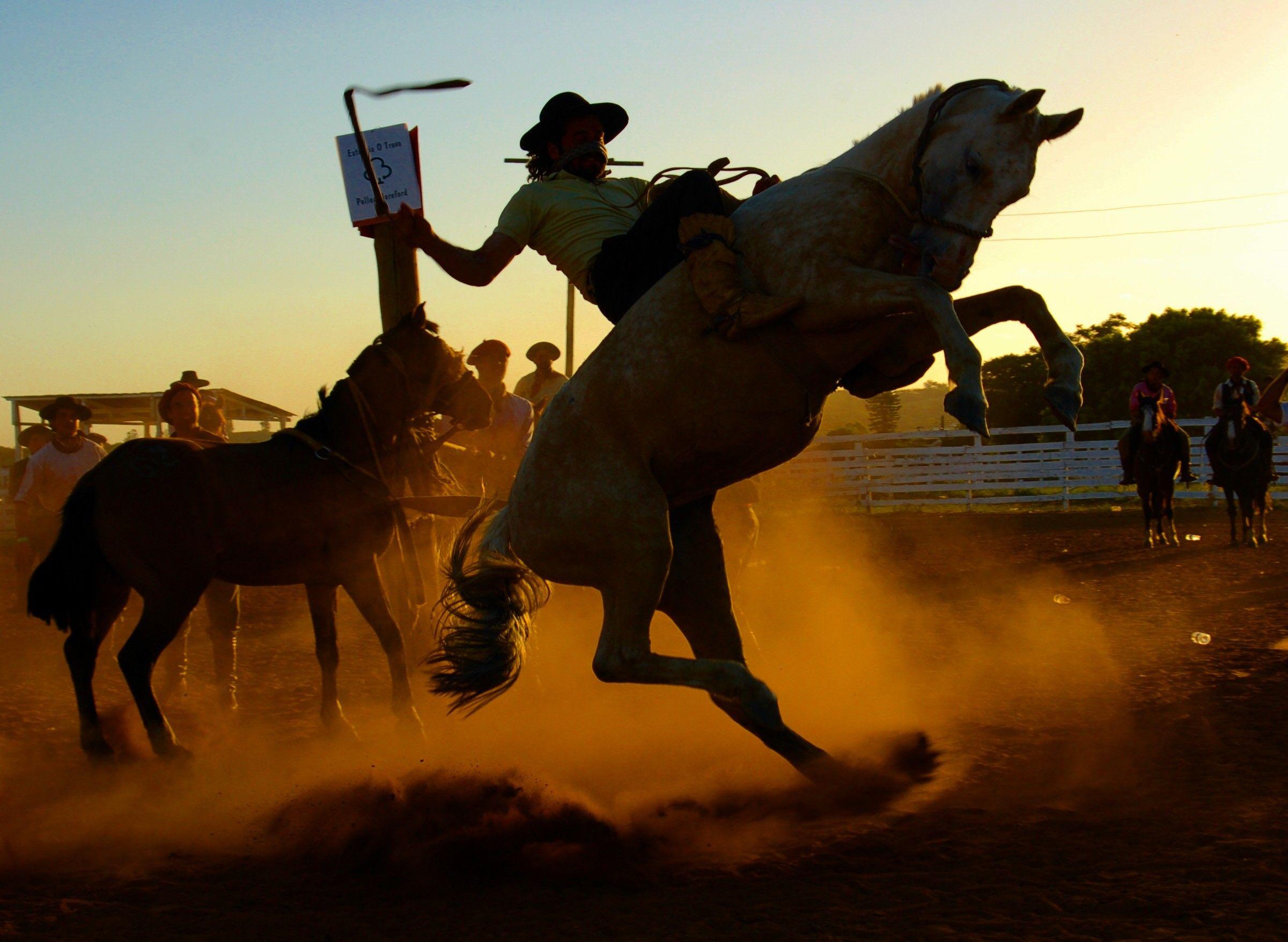 Rodeo 4K Wallpapers - Top Free Rodeo 4K Backgrounds - WallpaperAccess