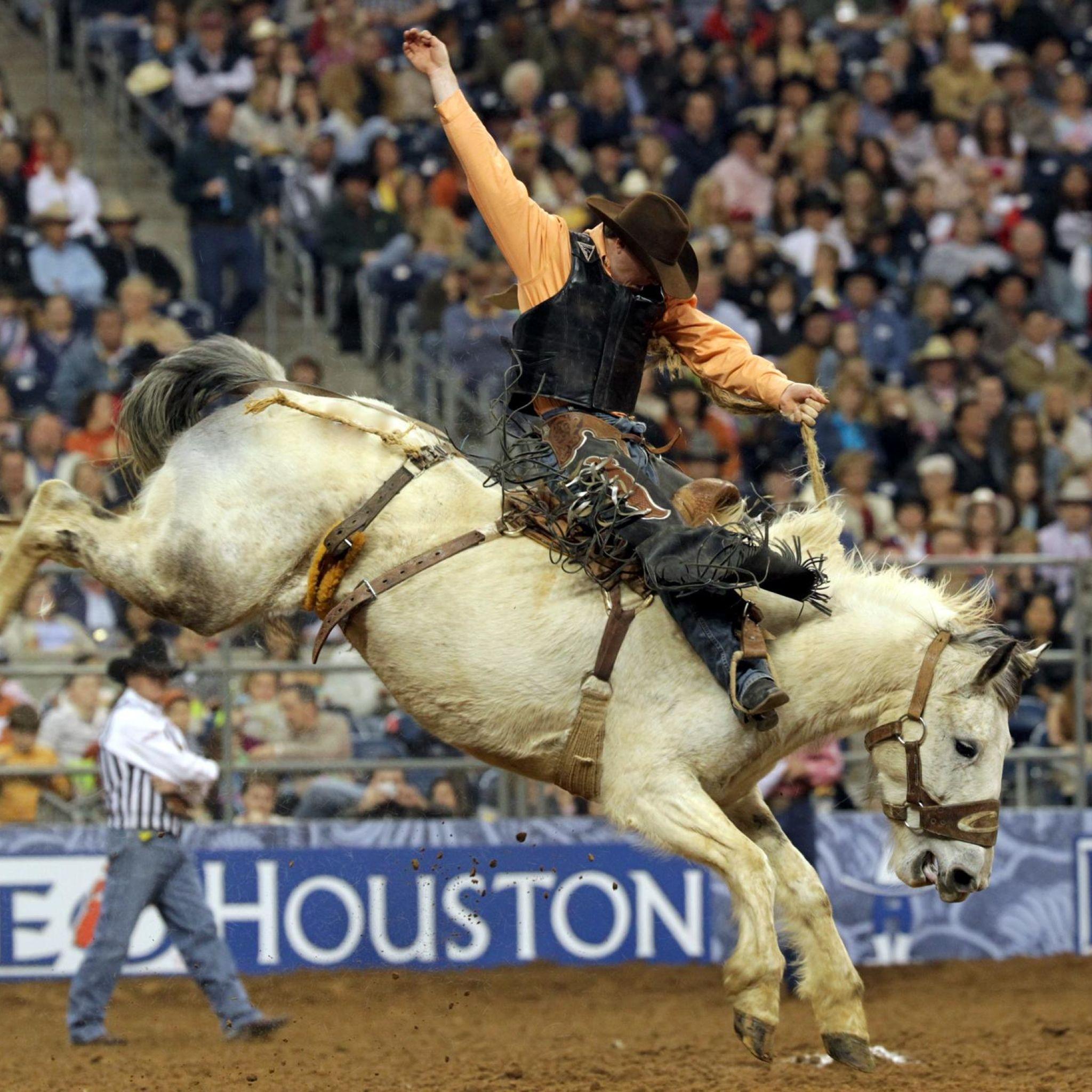 Rodeo 4K Wallpapers - Top Free Rodeo 4K Backgrounds - WallpaperAccess