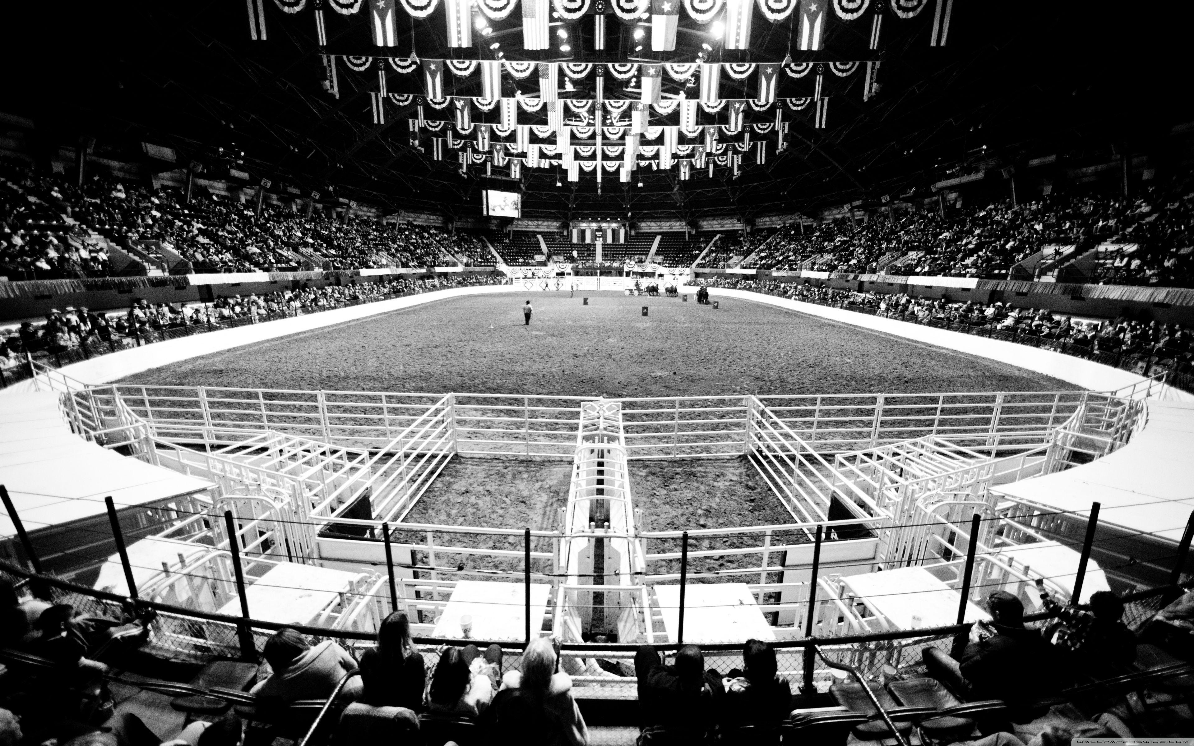 Rodeo 4K Wallpapers - Top Free Rodeo 4K Backgrounds - WallpaperAccess