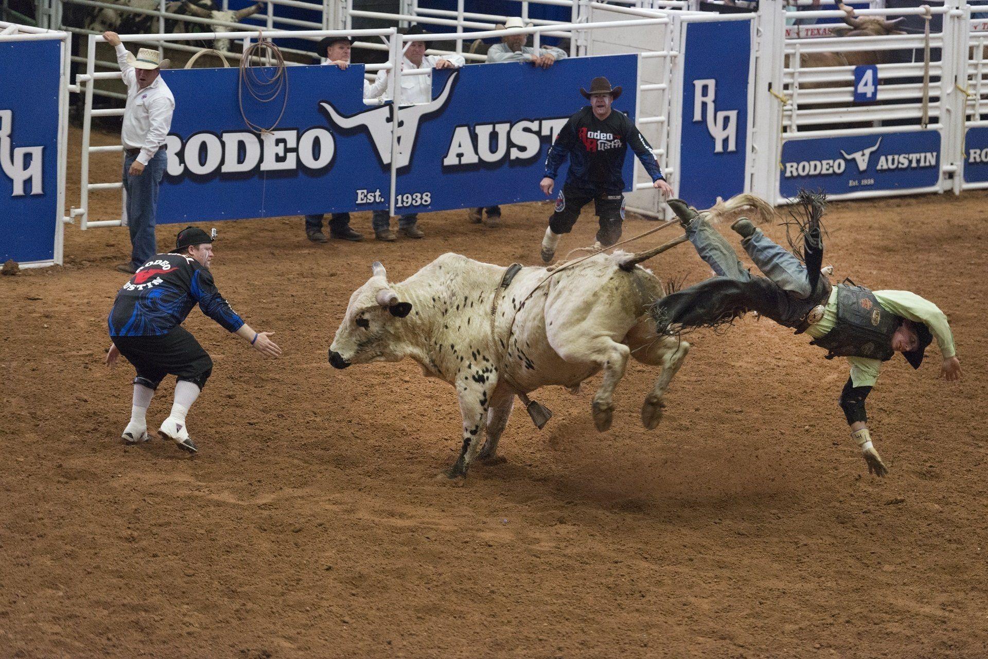 Rodeo 4K Wallpapers - Top Free Rodeo 4K Backgrounds - WallpaperAccess