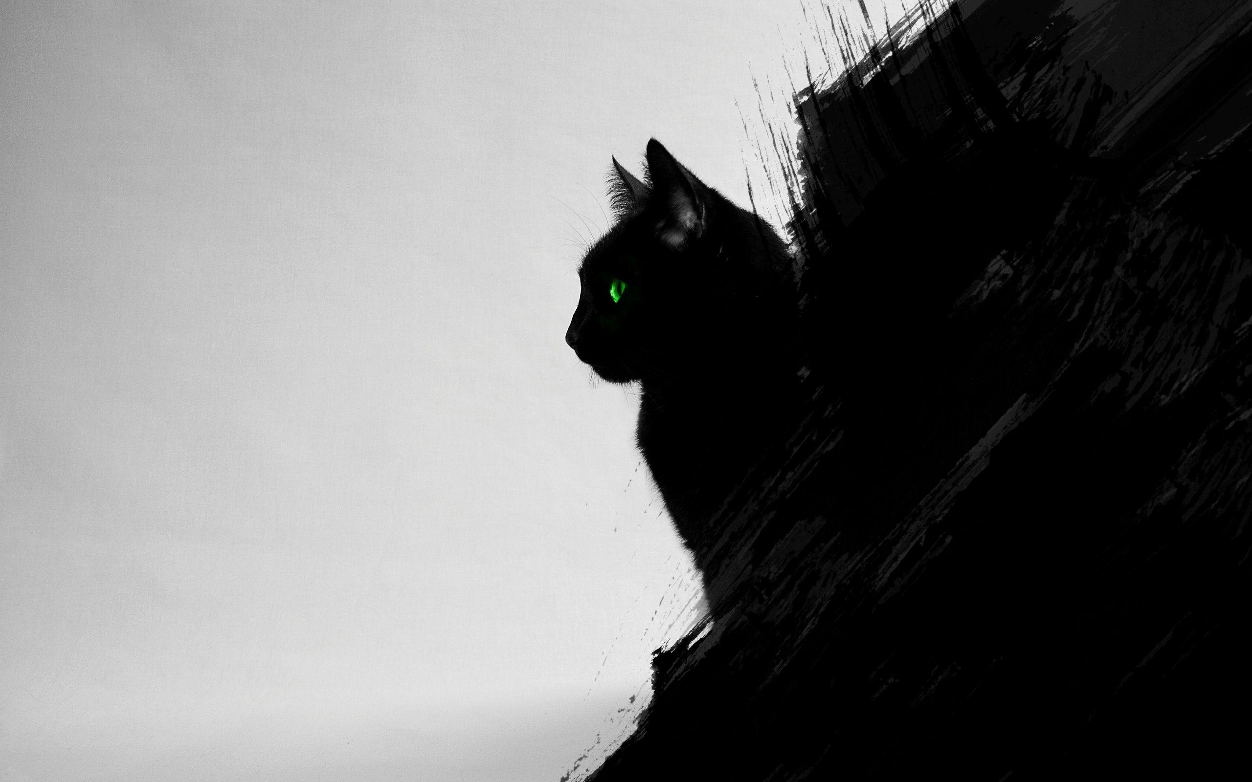 Black Cat Art Wallpapers - Top Free Black Cat Art Backgrounds ...