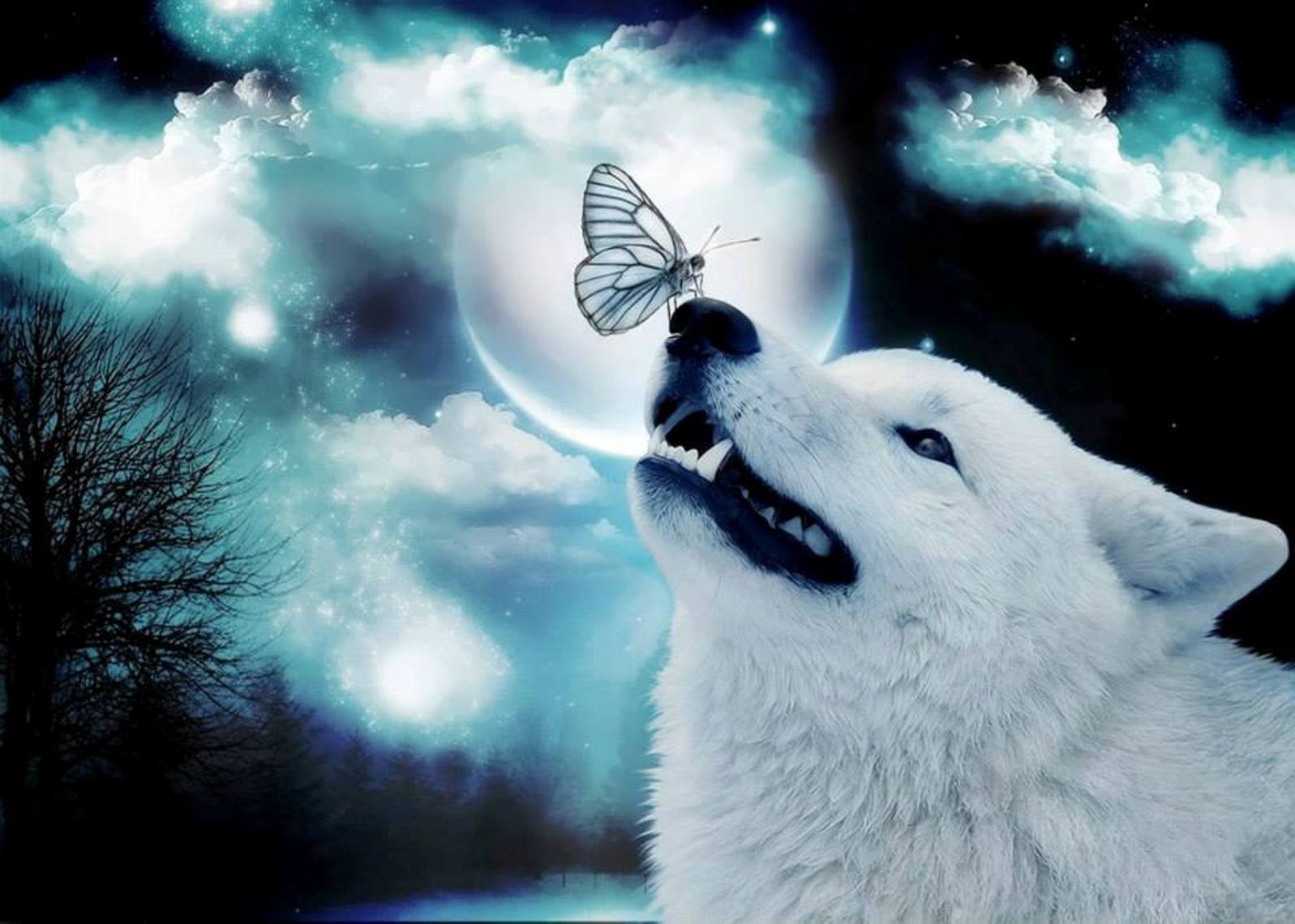 Cute Animal Wallpapers - Top Free Cute Animal Backgrounds - WallpaperAccess