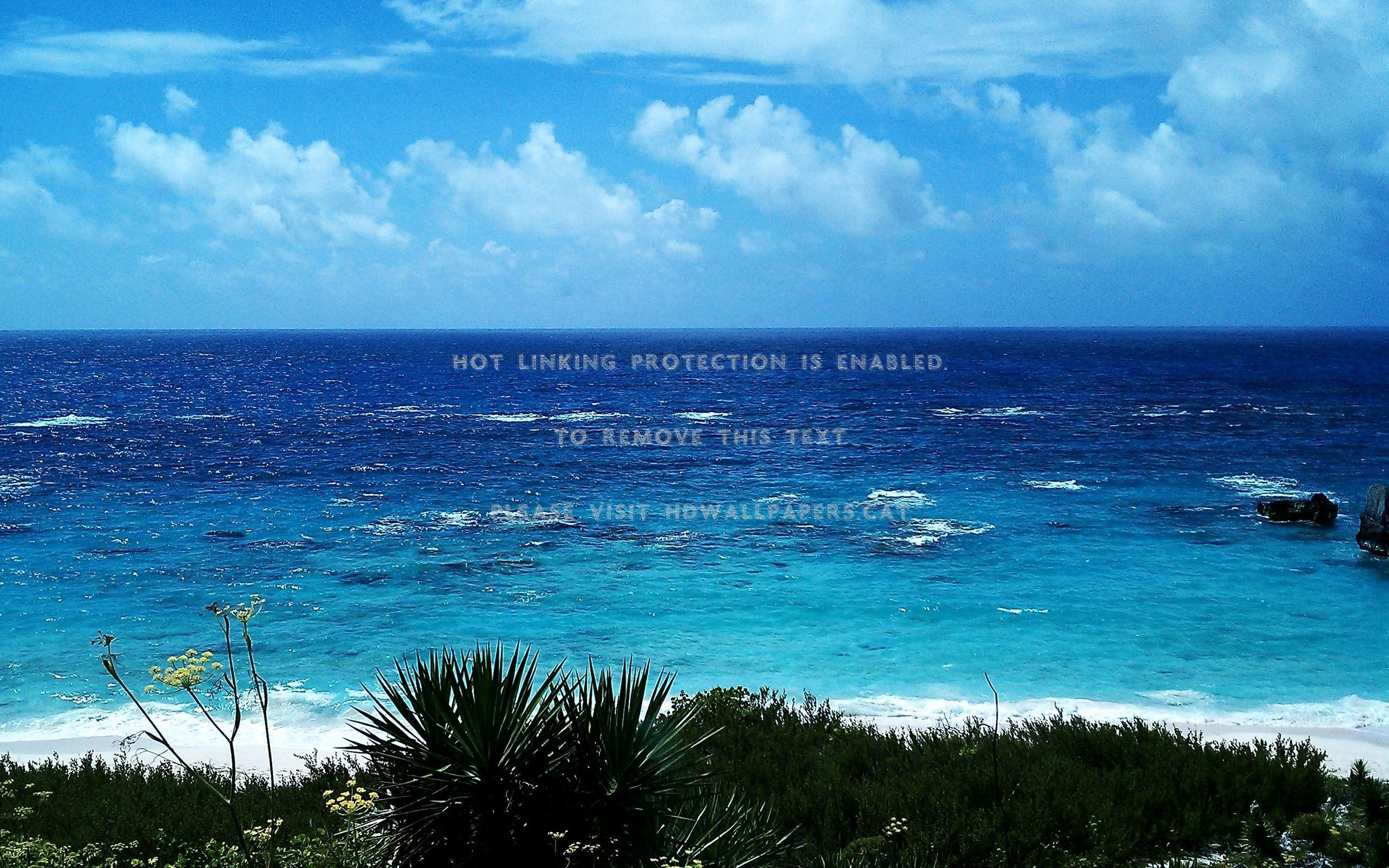 Bermuda Beach Wallpapers - Top Free Bermuda Beach Backgrounds ...