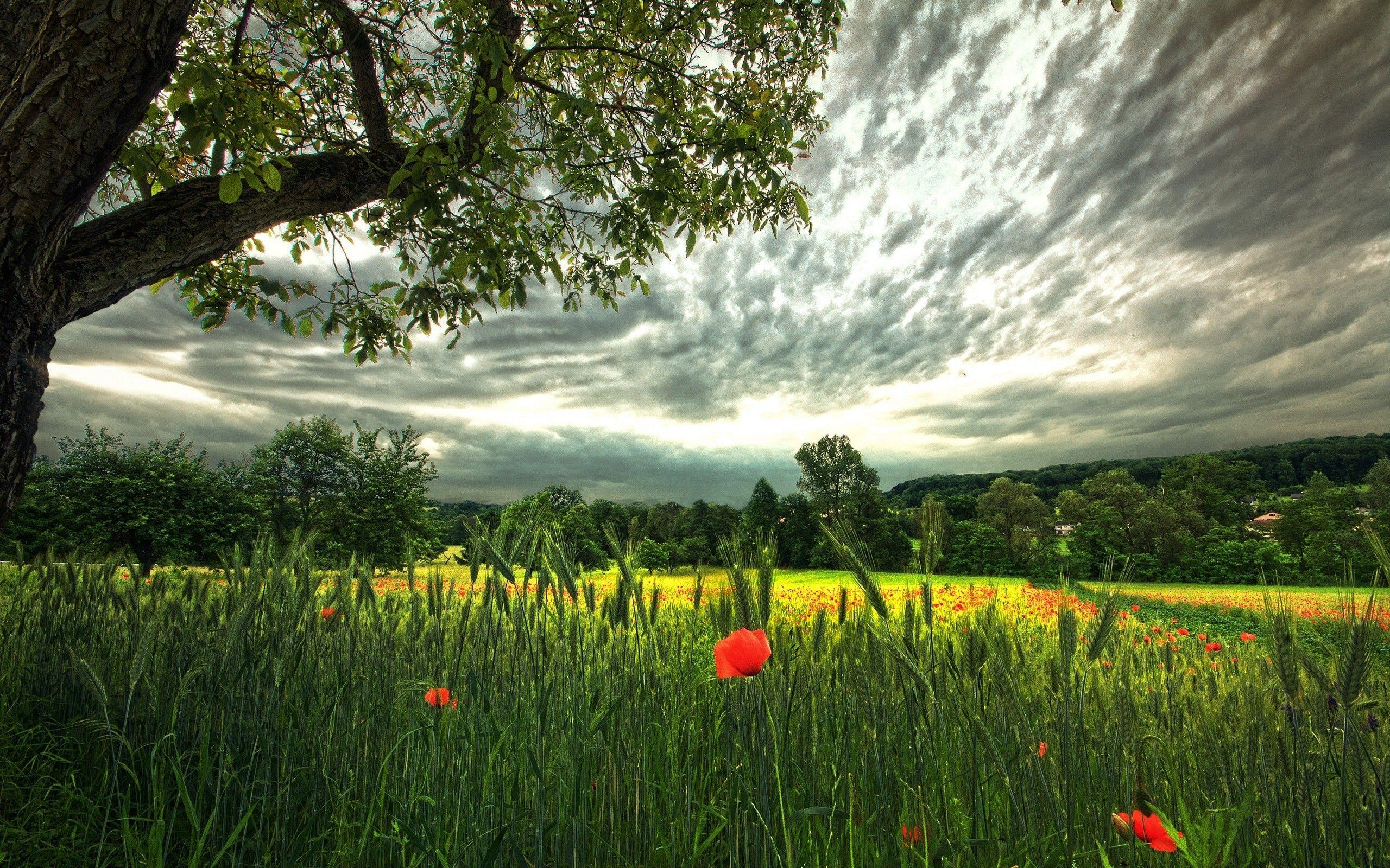 Germany Landscape HD Wallpapers - Top Free Germany Landscape HD ...