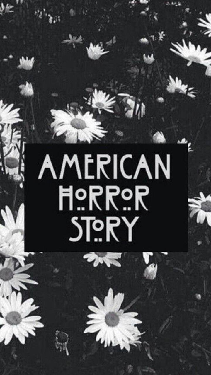 AHS Wallpapers - Top Free AHS Backgrounds - WallpaperAccess