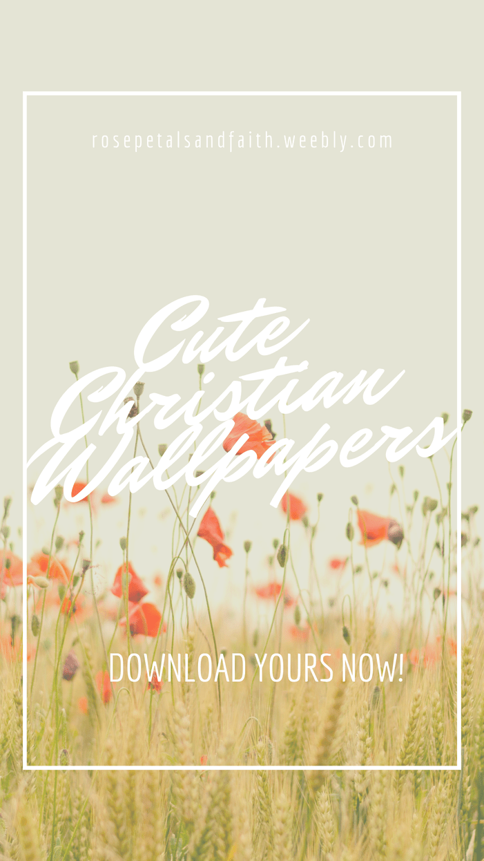Bible Study Wallpapers - Top Free Bible Study Backgrounds - WallpaperAccess