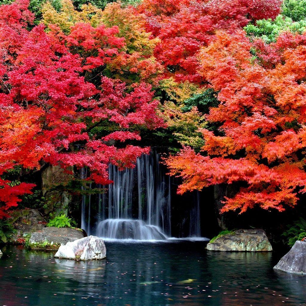Autumn Waterfall Wallpapers - Top Free Autumn Waterfall Backgrounds ...