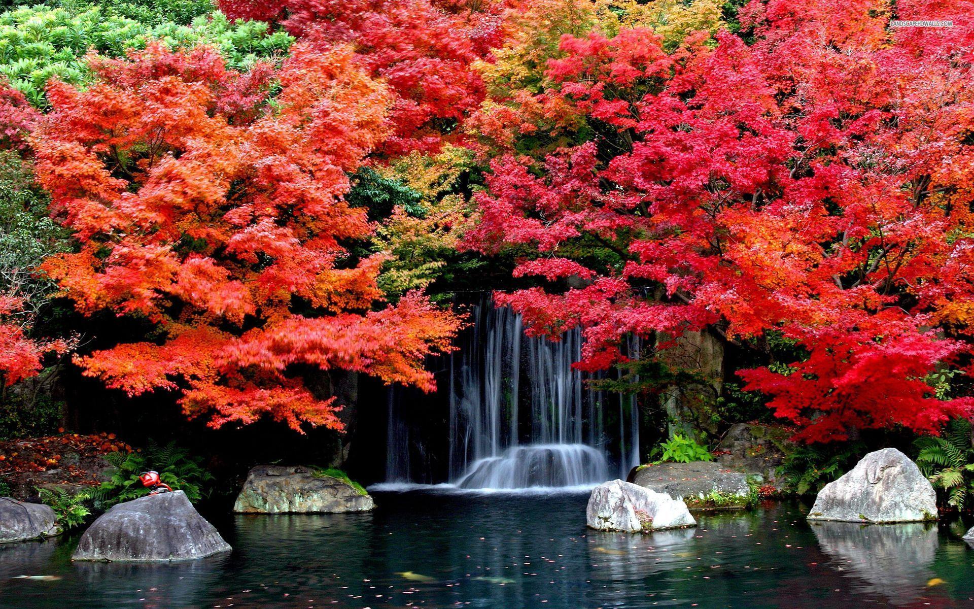 Autumn Waterfall Wallpapers - Top Free Autumn Waterfall Backgrounds ...
