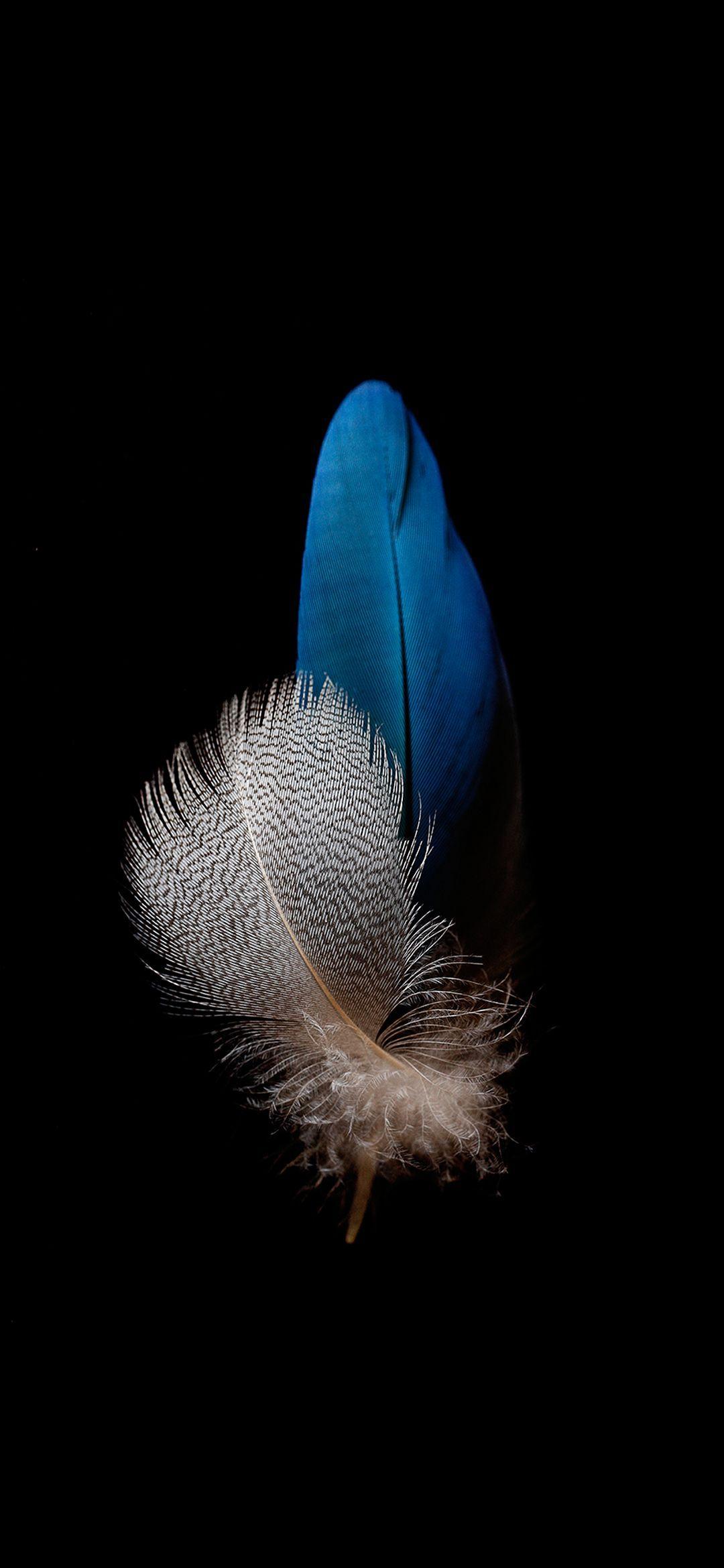 Feather Phone Wallpapers - Top Free Feather Phone Backgrounds ...
