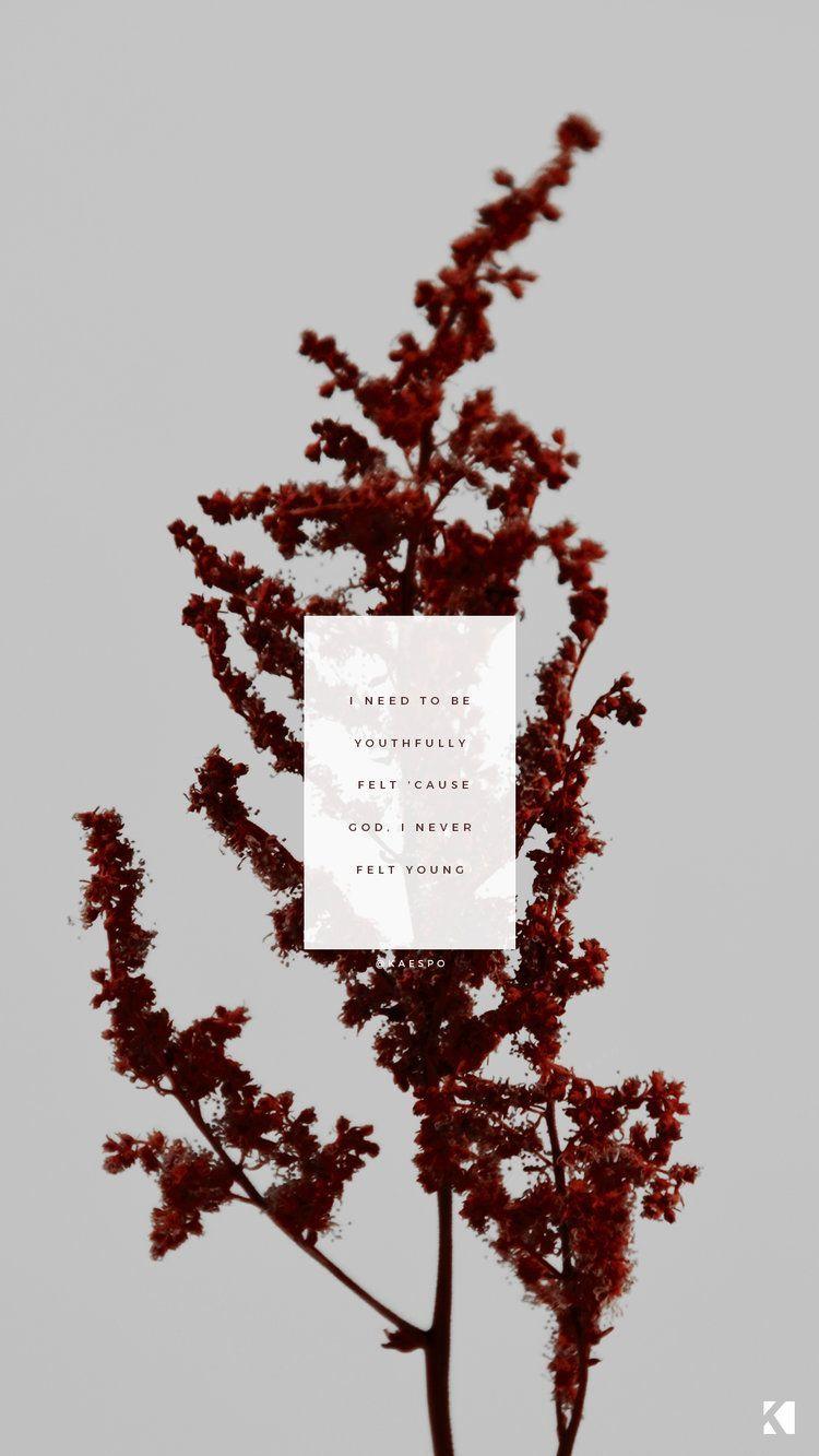 Hozier Wallpapers - Top Free Hozier Backgrounds - WallpaperAccess