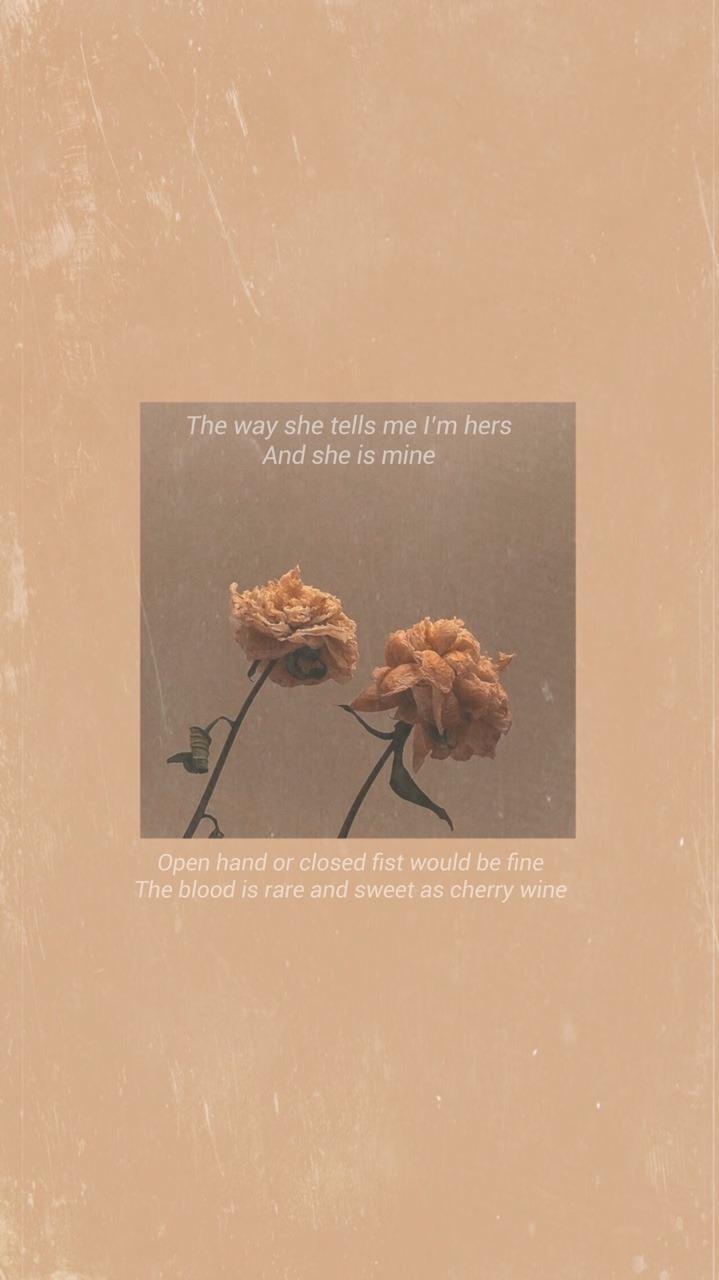 Hozier Wallpapers - Top Free Hozier Backgrounds - WallpaperAccess