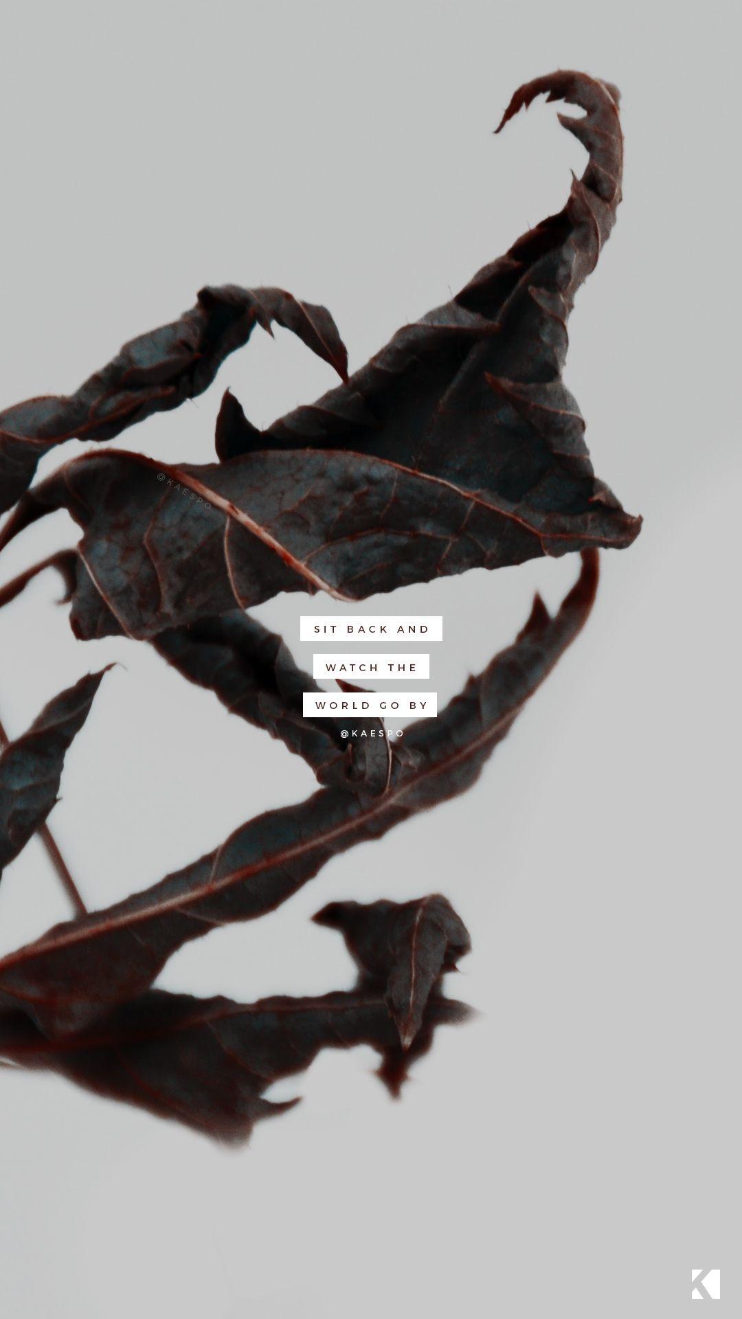 Hozier Wallpapers - Top Free Hozier Backgrounds - WallpaperAccess