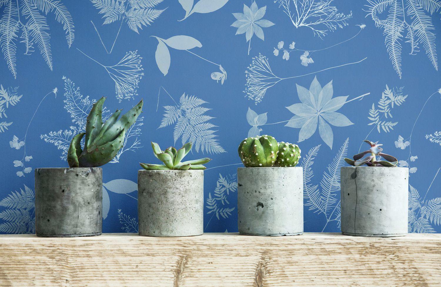 Botanist Wallpapers - Top Free Botanist Backgrounds - WallpaperAccess