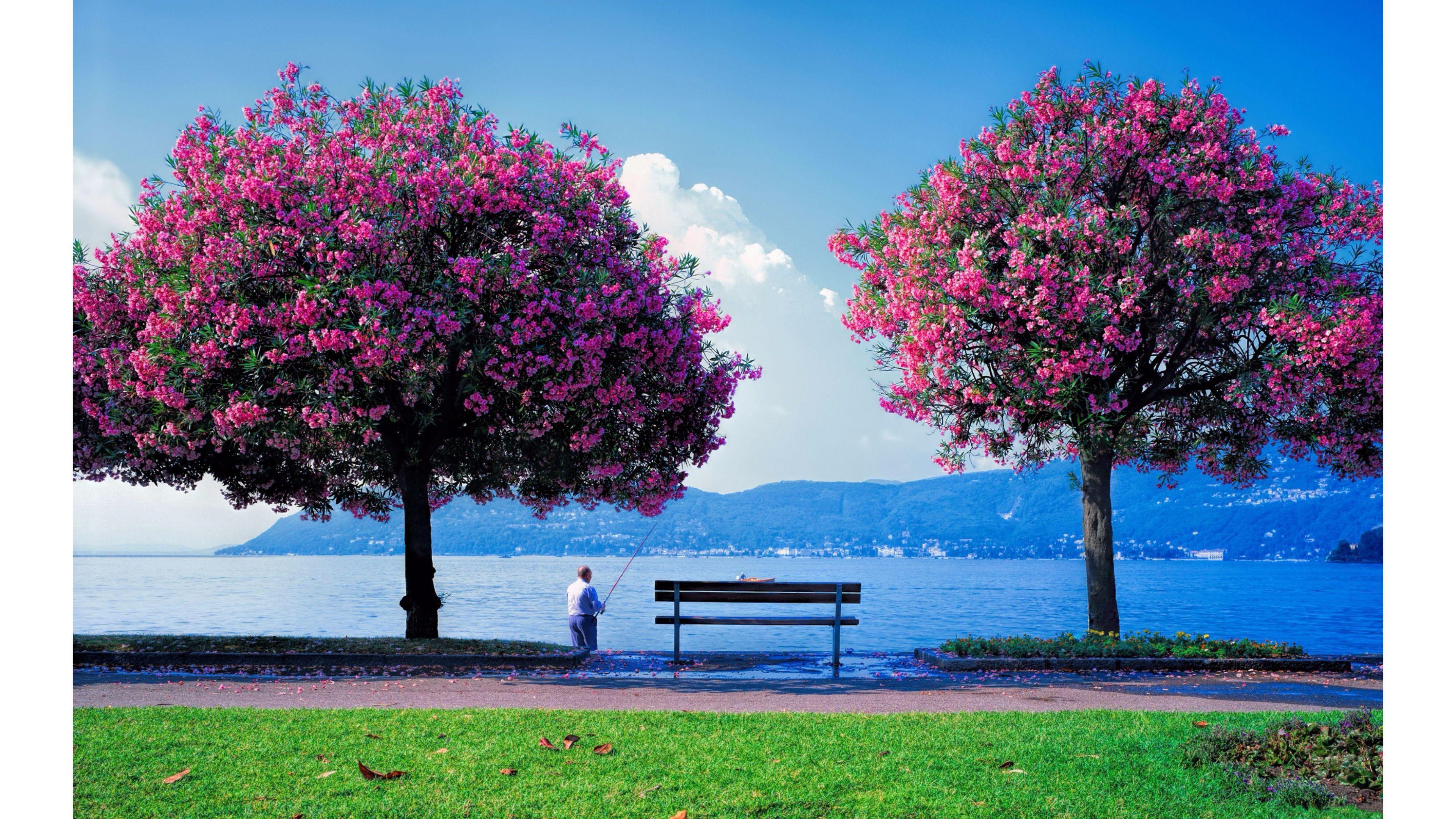 4K Cute Spring Wallpapers - Top Free 4K Cute Spring Backgrounds ...