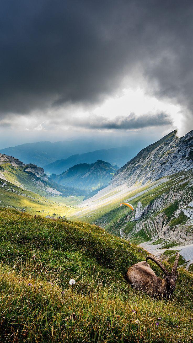 4K Portrait HD Wallpapers - Top Free 4K Portrait HD Backgrounds ...