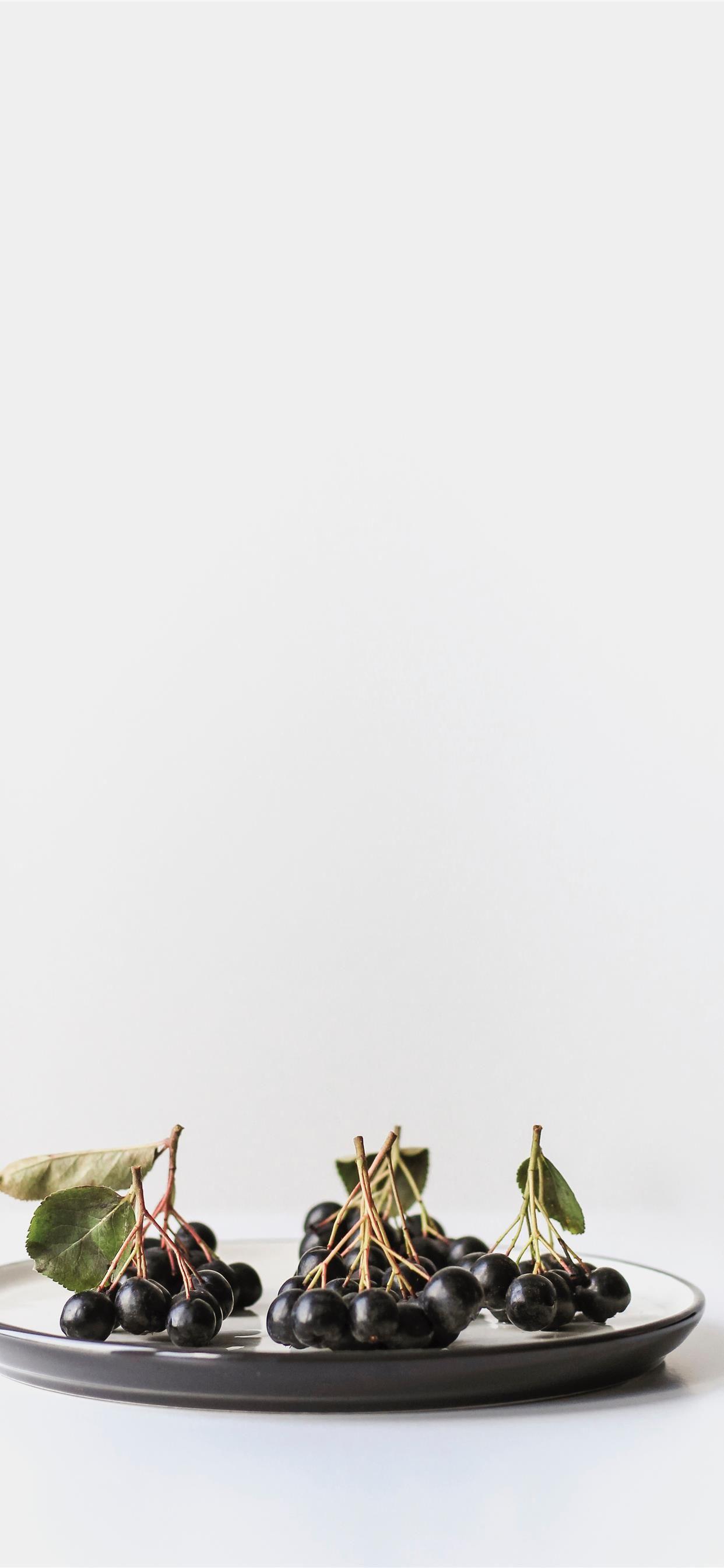 Minimal Food Wallpapers - Top Free Minimal Food Backgrounds ...