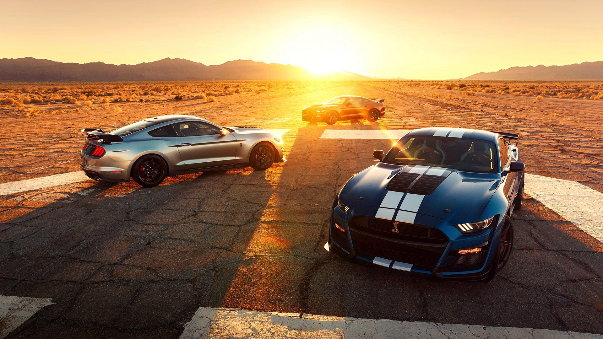 Shelby Mustang HD Wallpapers - Top Free Shelby Mustang HD Backgrounds ...