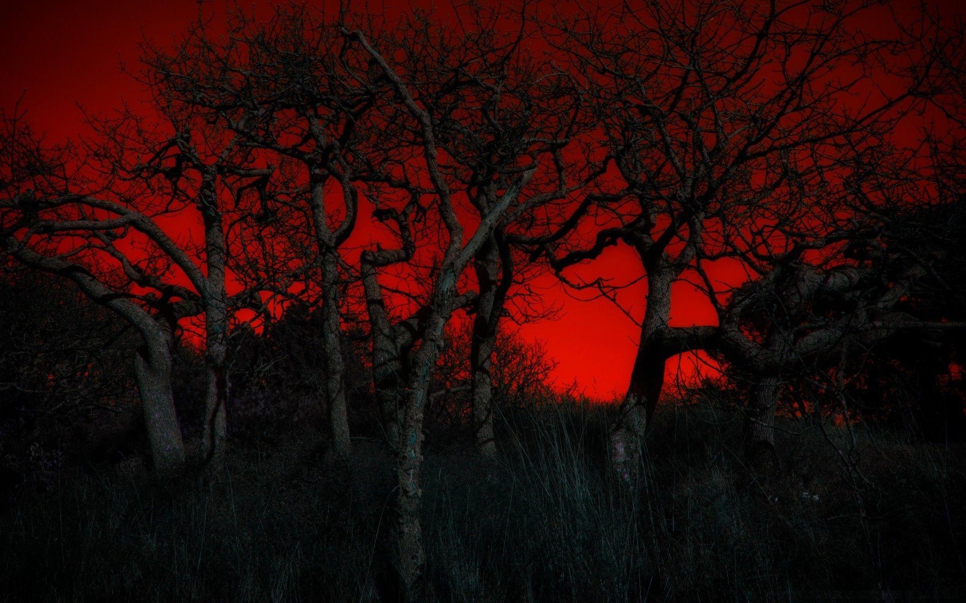 Red and Black Tree Wallpapers - Top Free Red and Black Tree Backgrounds ...