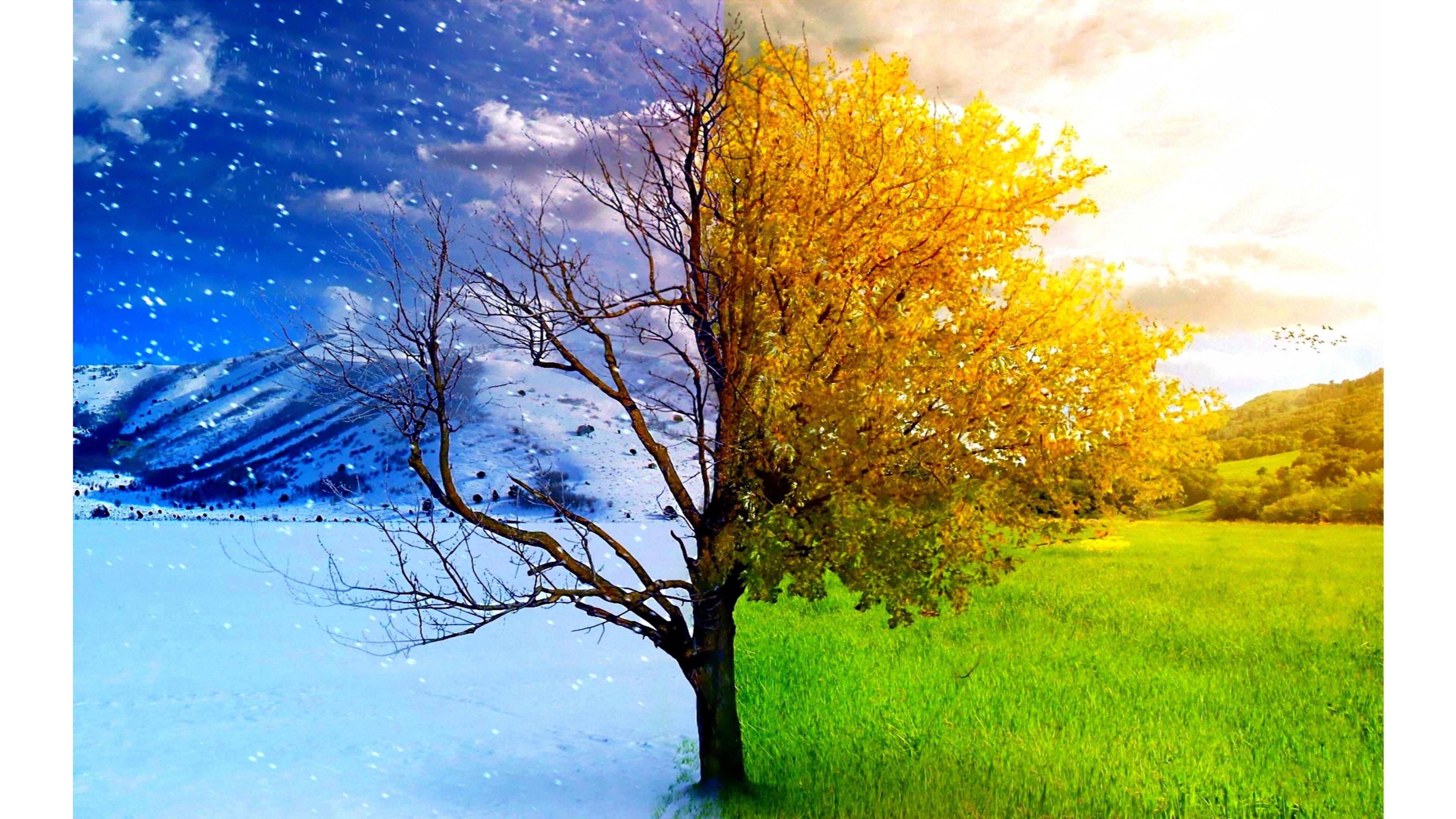 Spring Landscape 4K Wallpapers - Top Free Spring Landscape 4K ...