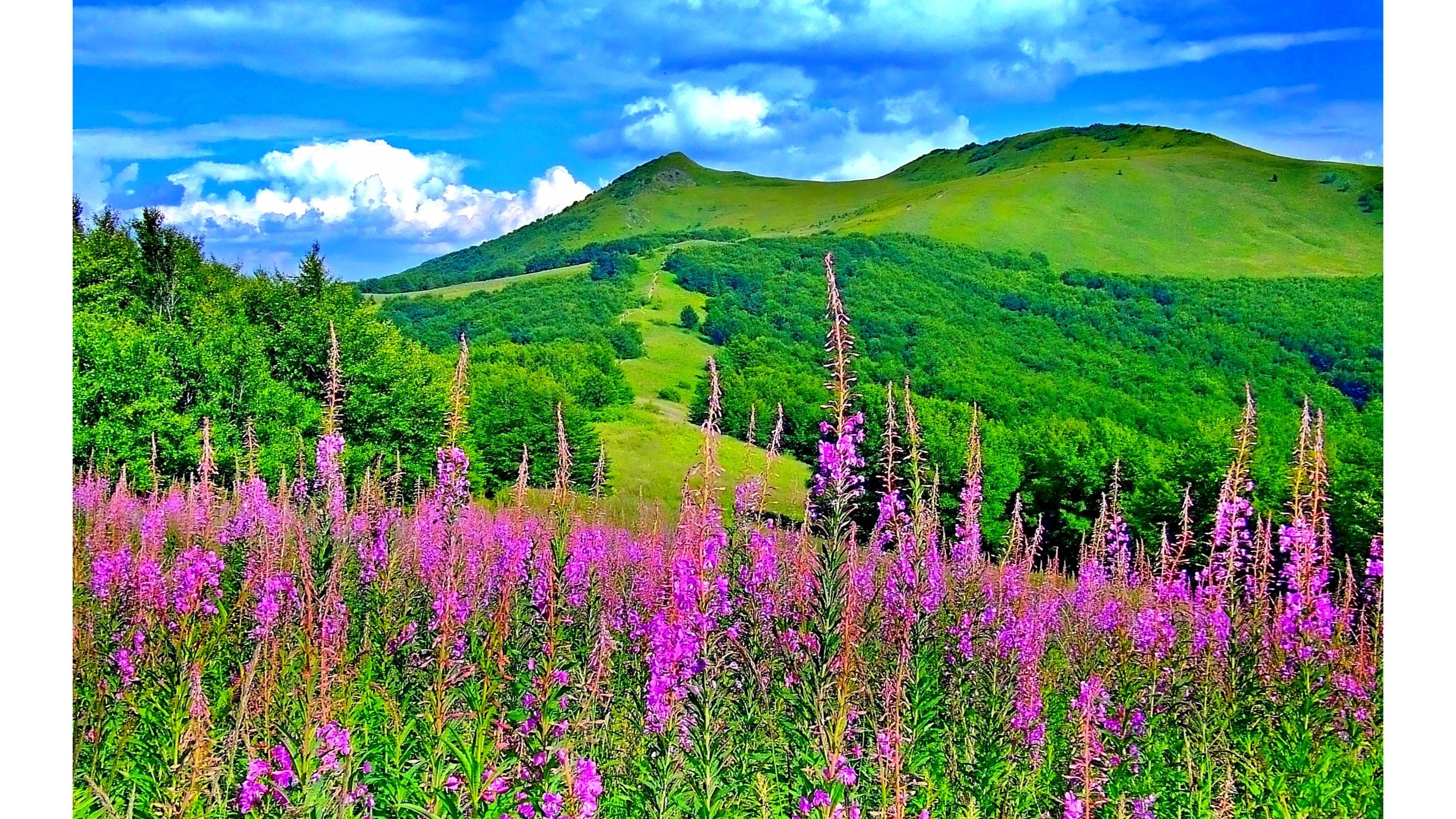 Spring Landscape 4K Wallpapers - Top Free Spring Landscape 4K ...