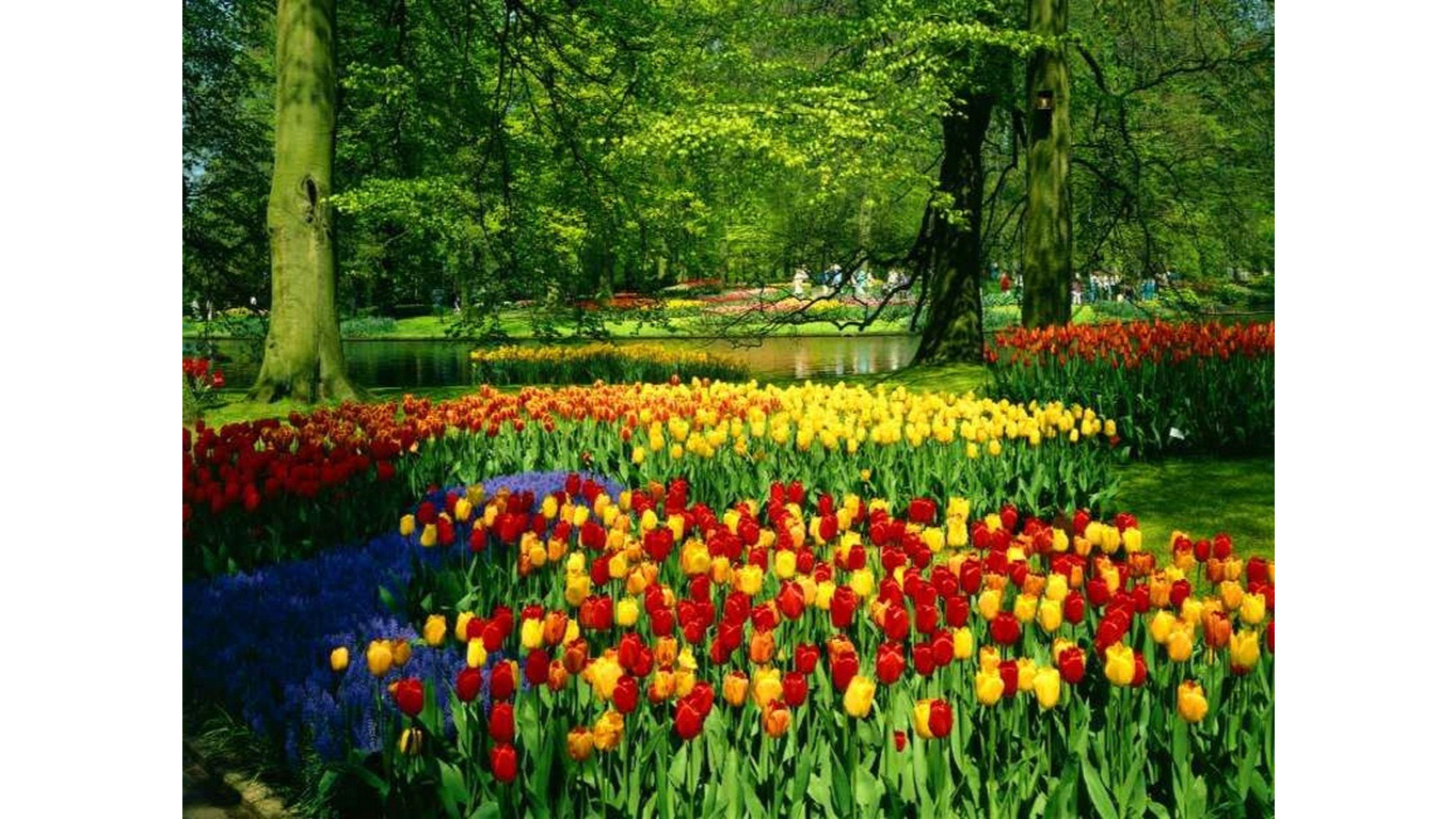 Spring Landscape 4K Wallpapers - Top Free Spring Landscape 4K ...