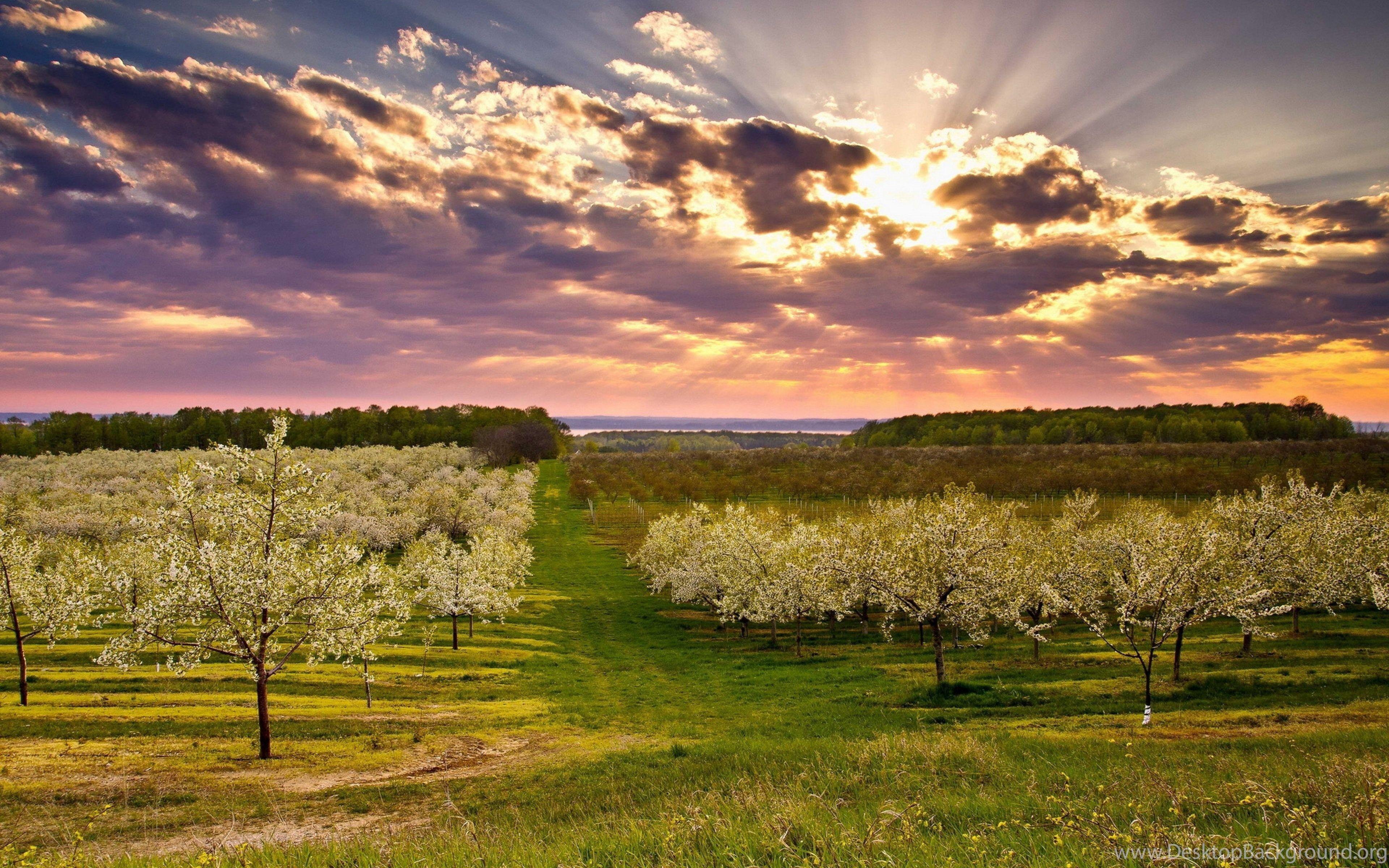 Spring Landscape 4K Wallpapers - Top Free Spring Landscape 4K ...