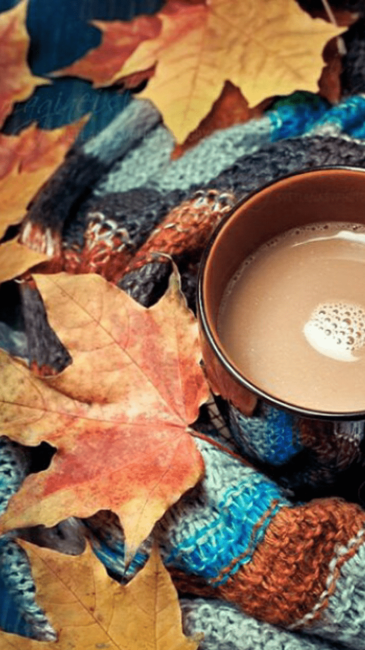 Cozy Tumblr Wallpapers - Top Free Cozy Tumblr Backgrounds - WallpaperAccess