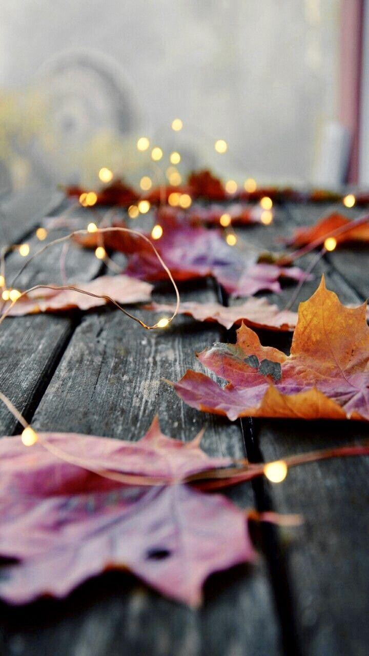 Cozy Tumblr Wallpapers - Top Free Cozy Tumblr Backgrounds - WallpaperAccess