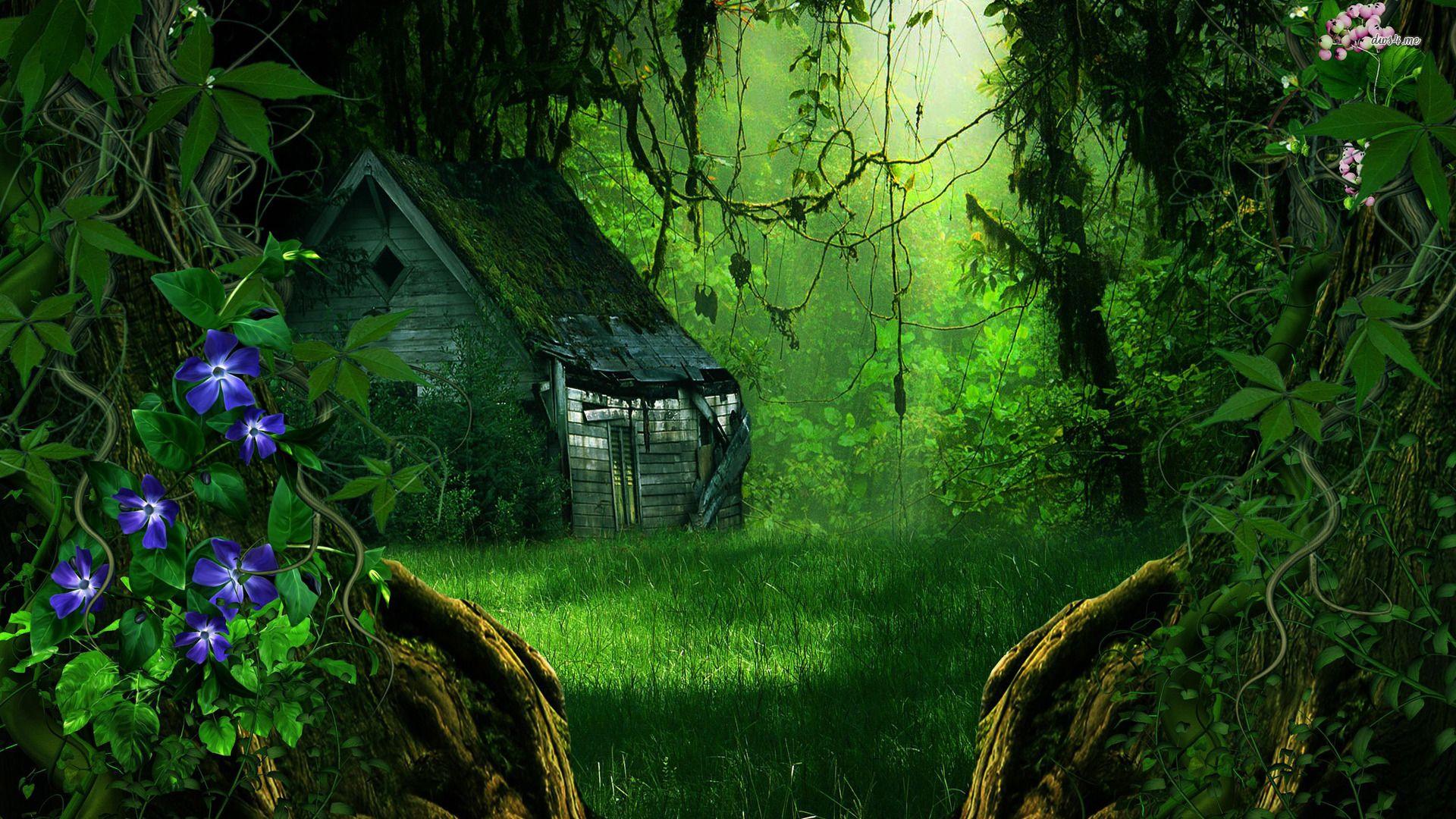 Fantasy Forest HD Wallpapers - Top Free Fantasy Forest HD Backgrounds ...