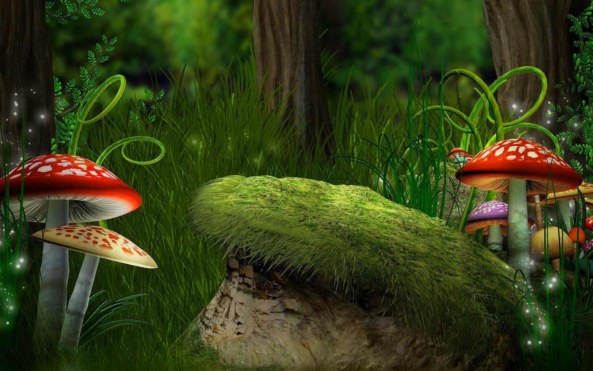 Fantasy Forest HD Wallpapers - Top Free Fantasy Forest HD Backgrounds ...