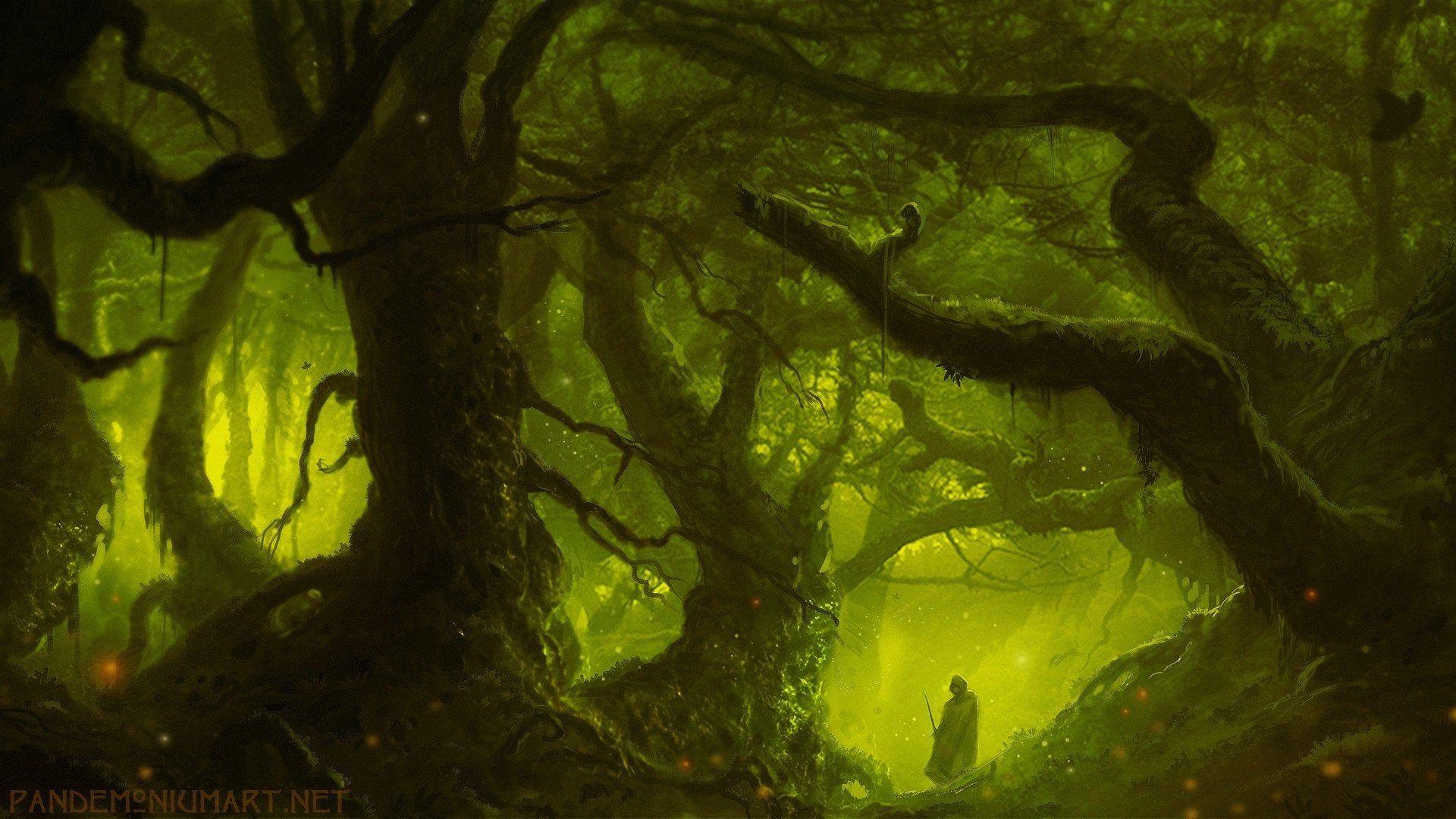 Fantasy Forest HD Wallpapers - Top Free Fantasy Forest HD Backgrounds ...