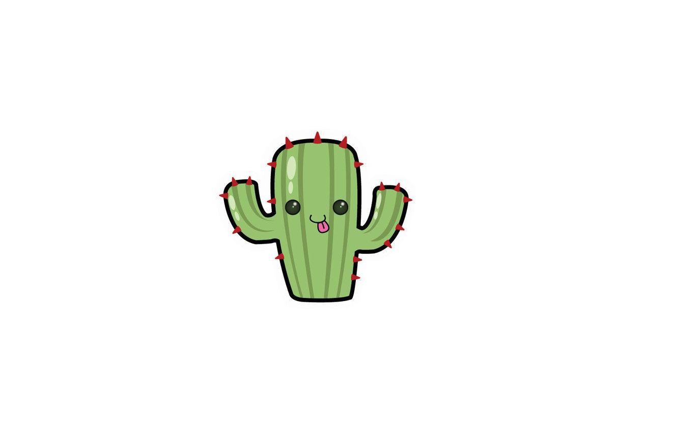 Minimalist Cactus Wallpapers - Top Free Minimalist Cactus Backgrounds ...